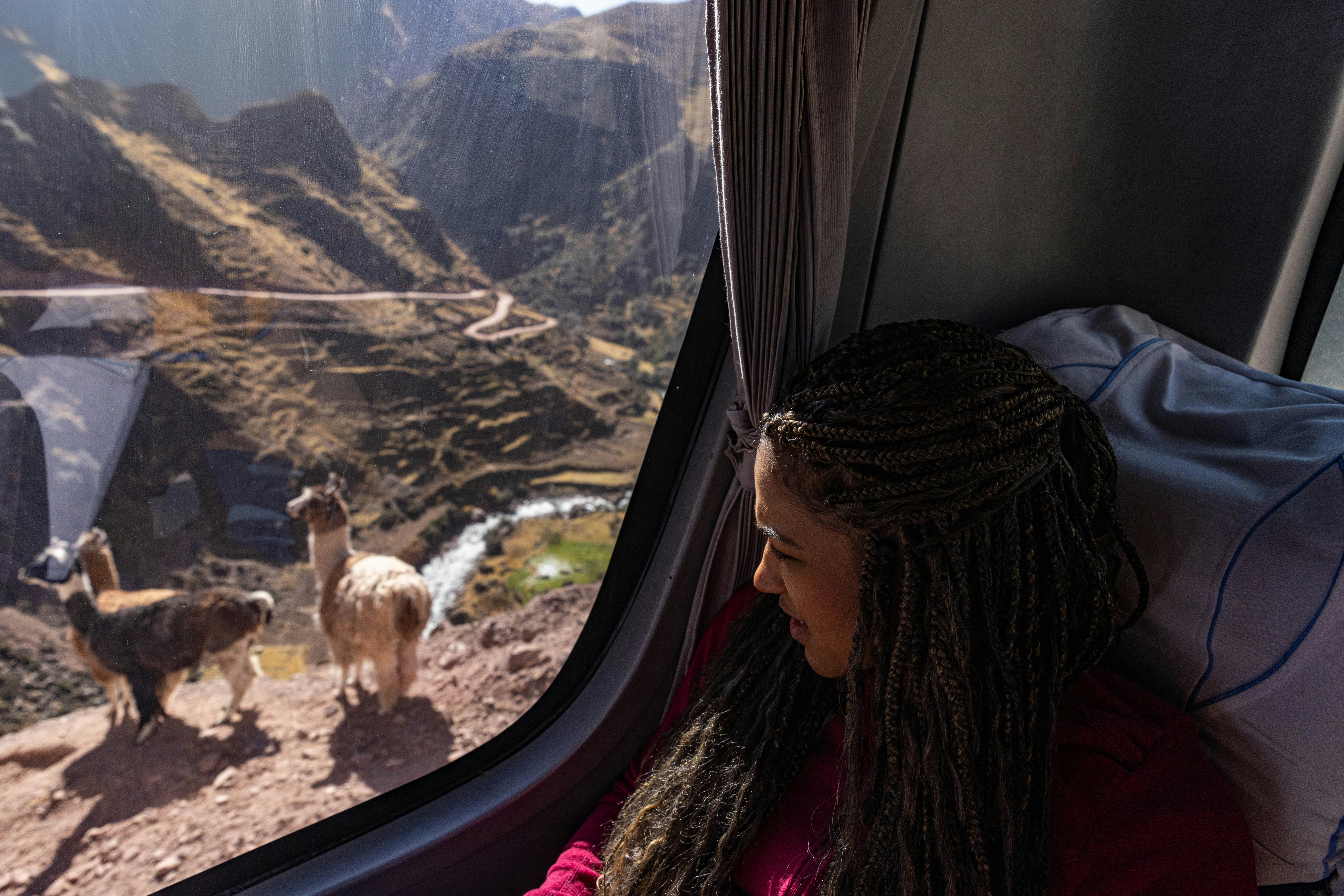 Window Seat Reverie: A Quiet Portrait Amid Llamas and Canyon Roads