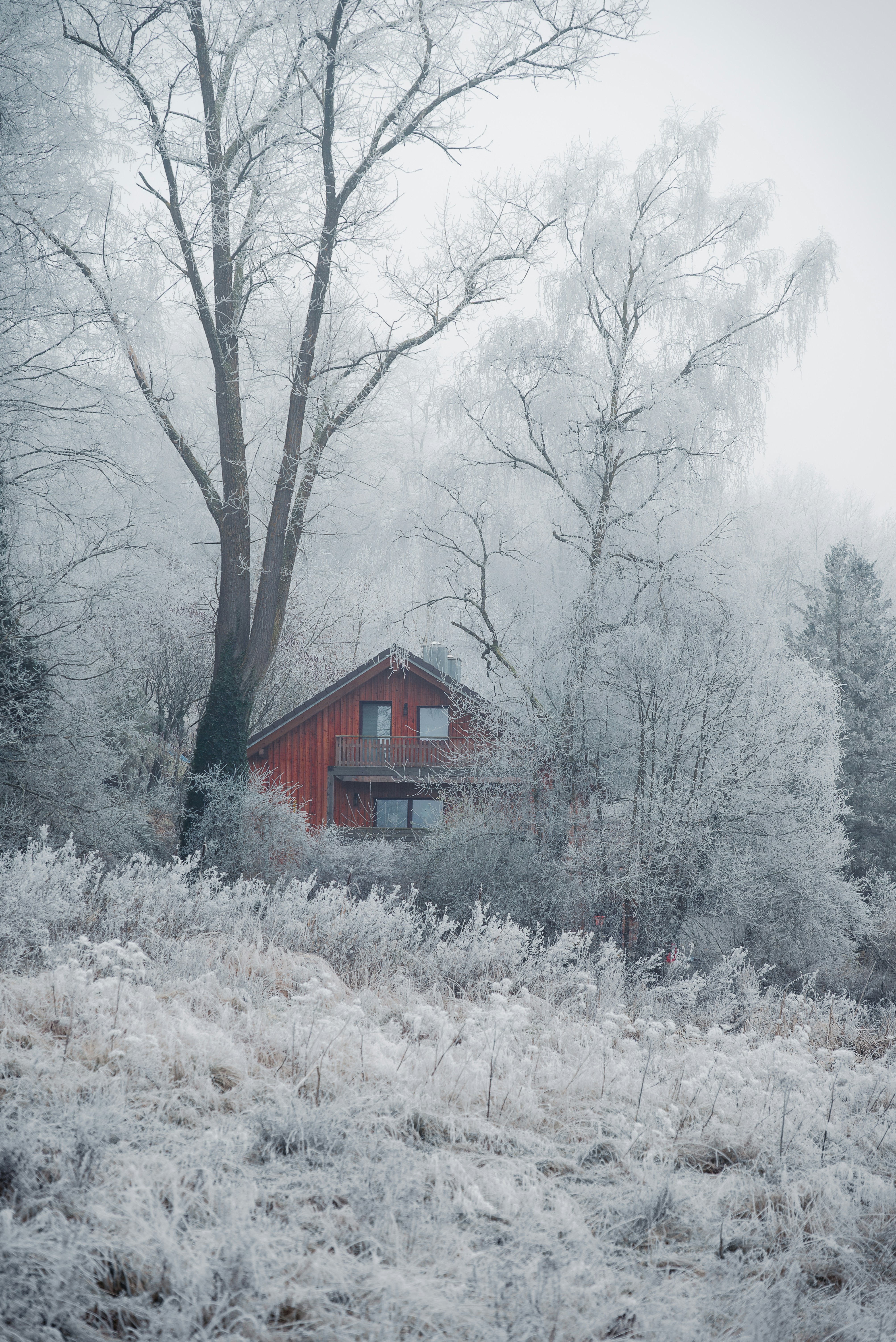 Whispers of Winter: A Hidden Retreat