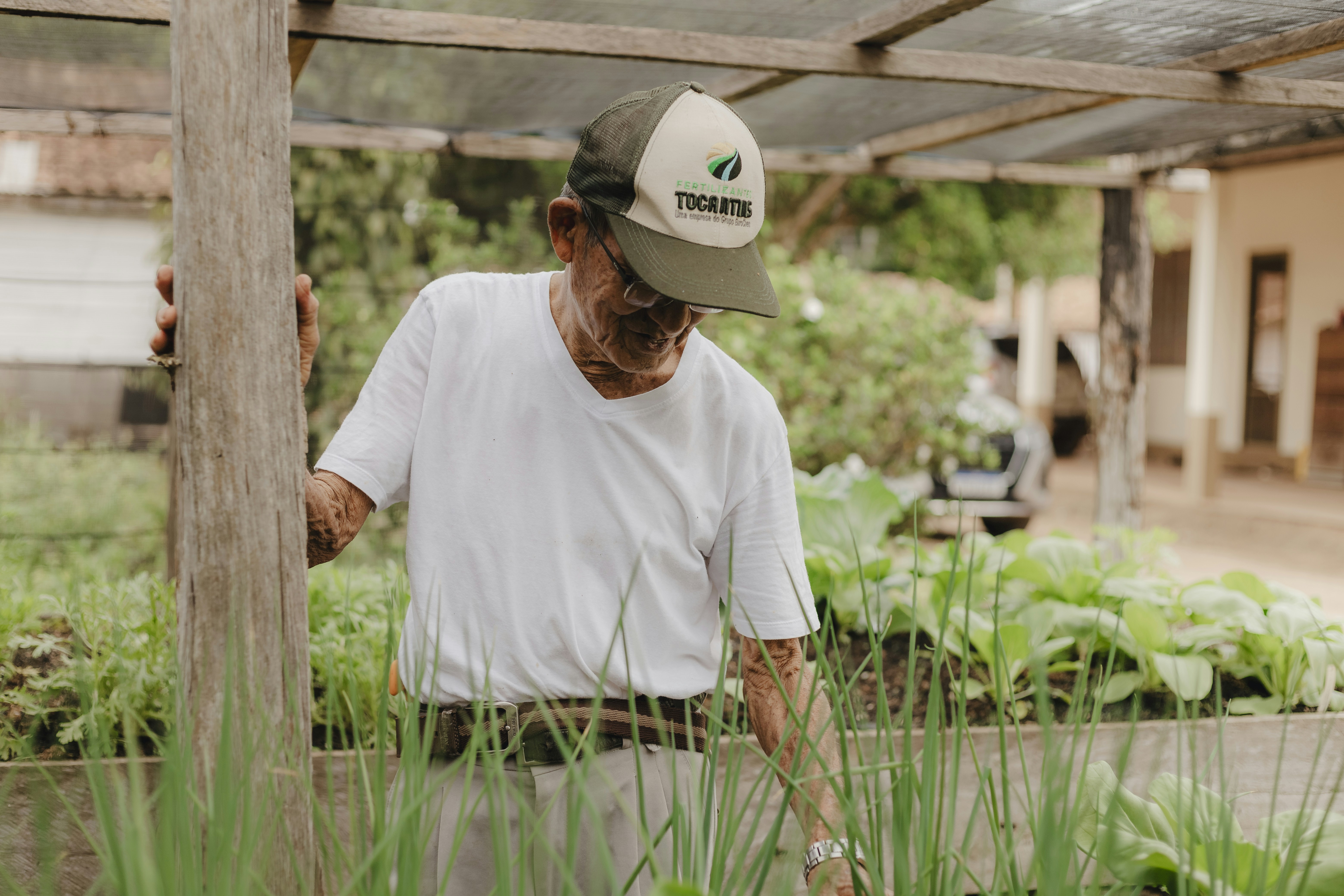 Under the Pergola: An Elder Gardener Tends the Green Corridor