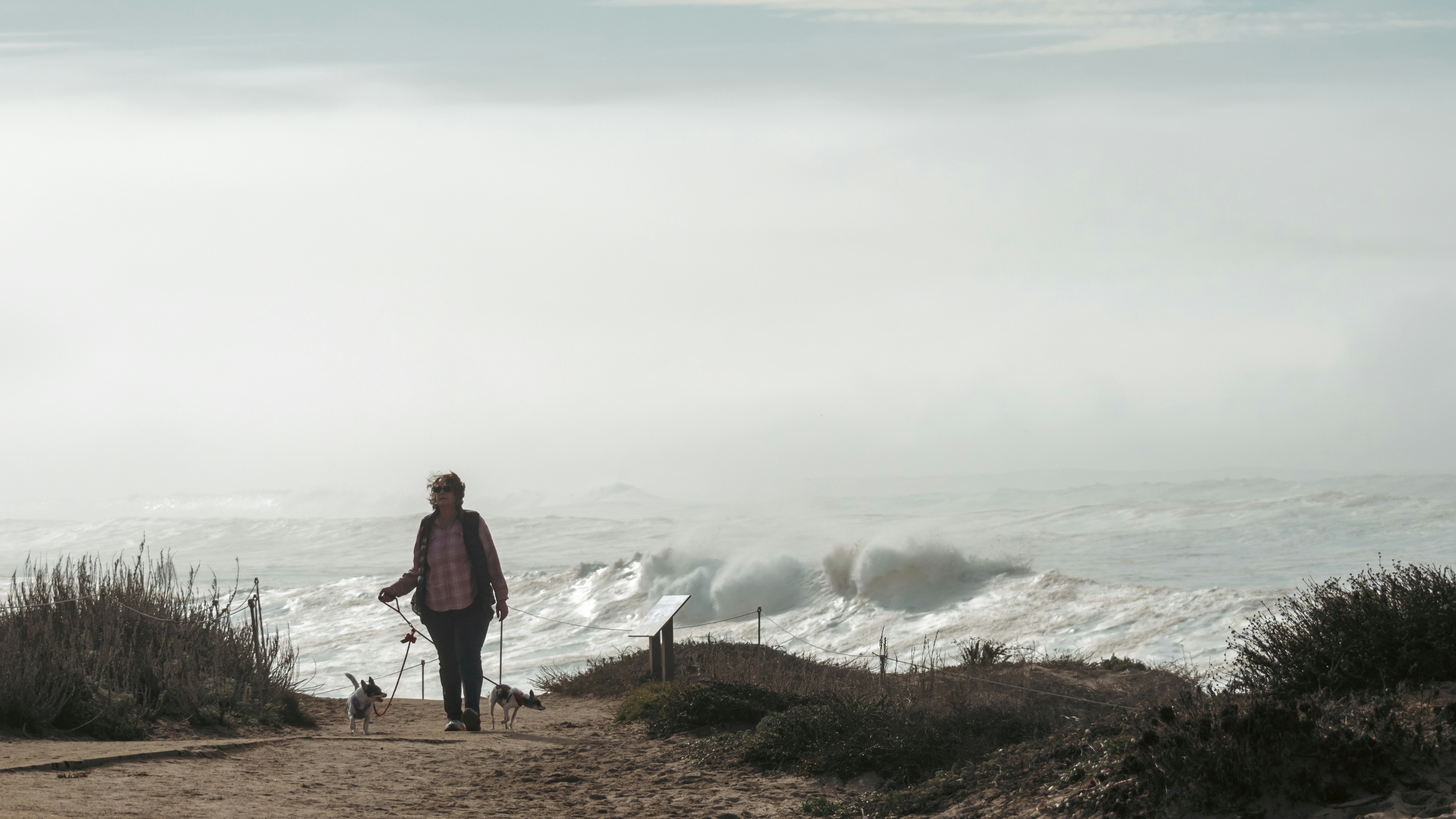 A person walking on a path near the ocean photo – Free Human Image on ...