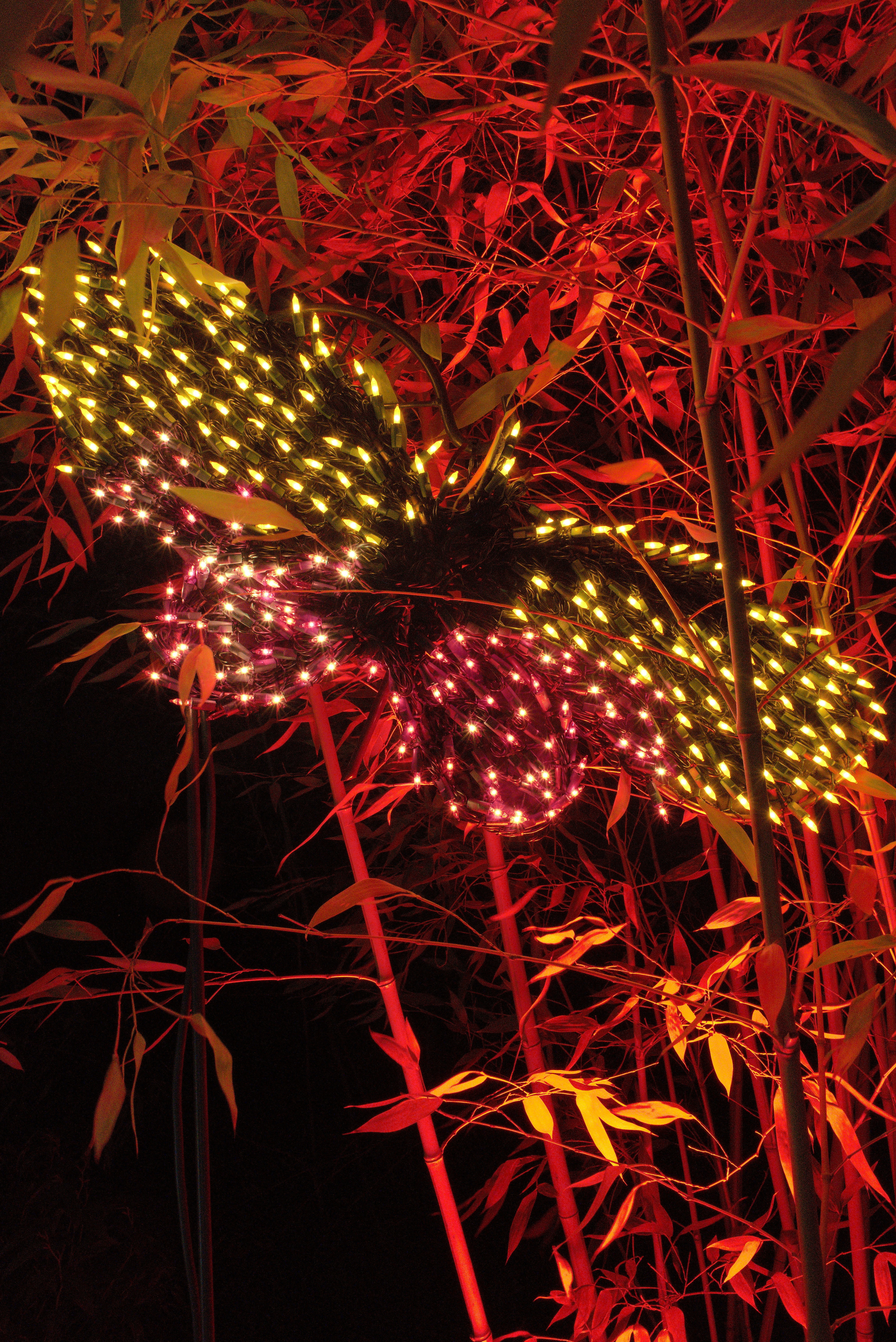 A lighted object in the middle of a field photo – Free Bellevue ...