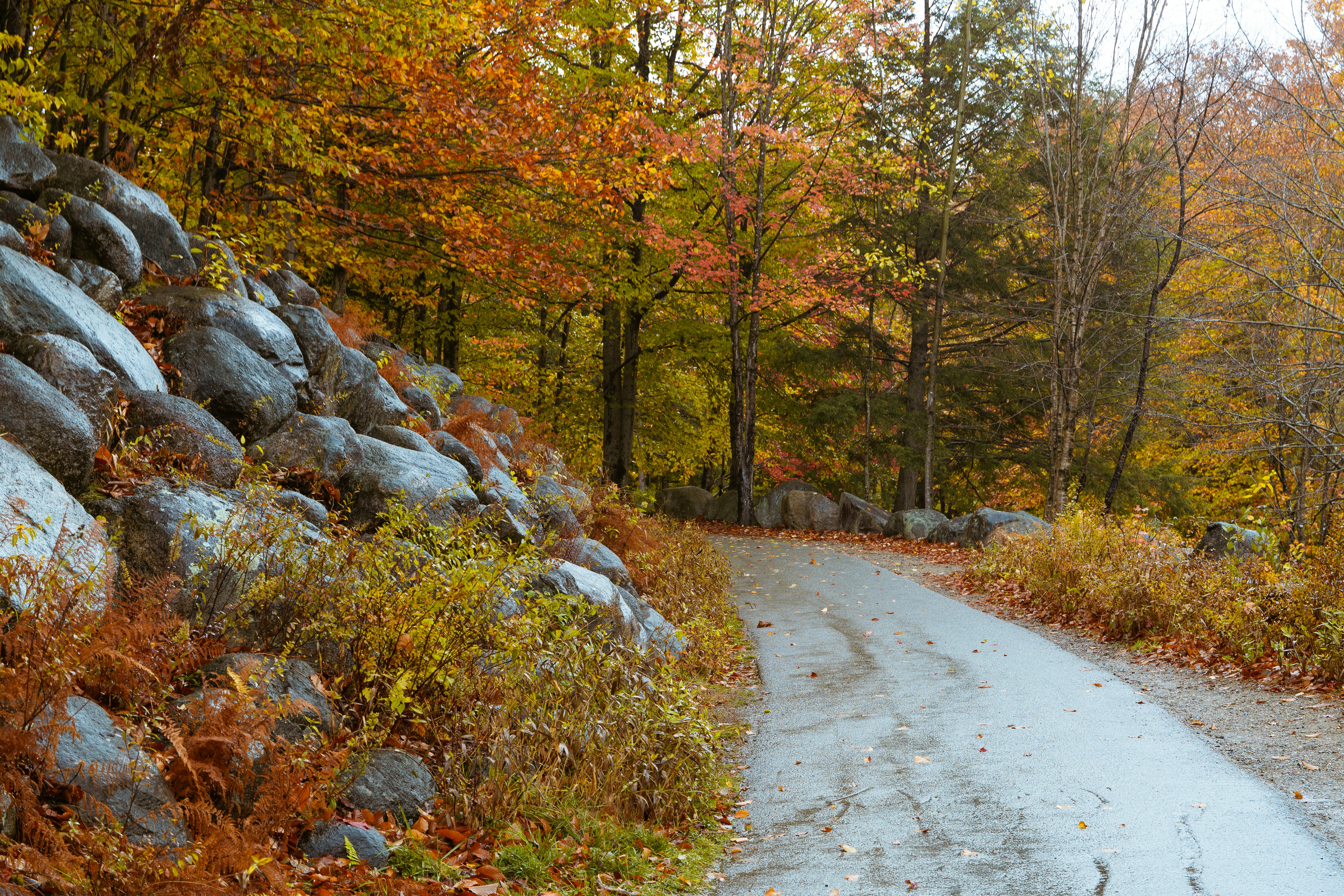 A dirt road surrounded by trees and rocks photo – Free Flume gorge ...