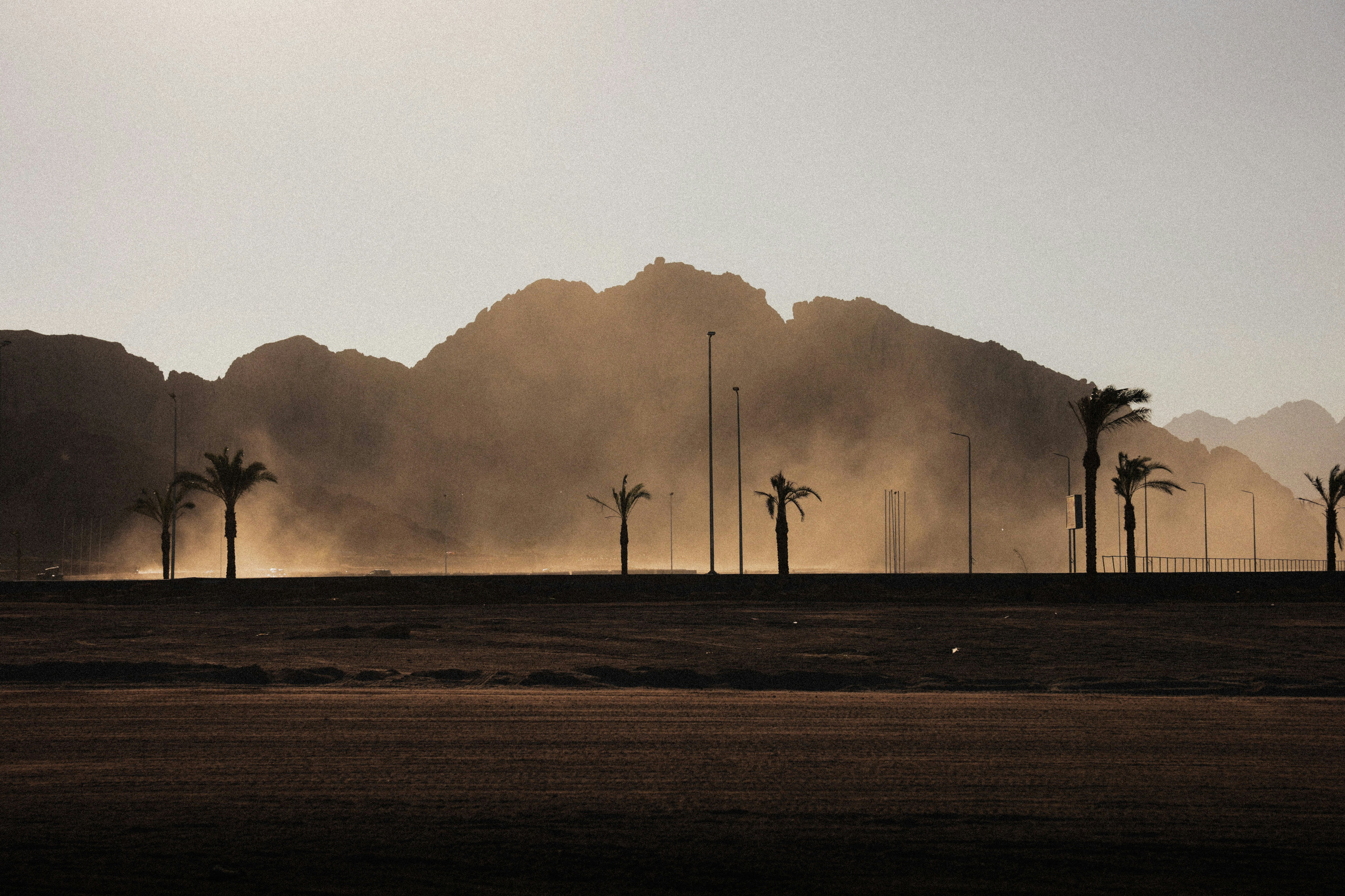 Dust Swirls Behind a Palm-Line Horizon at Dusk