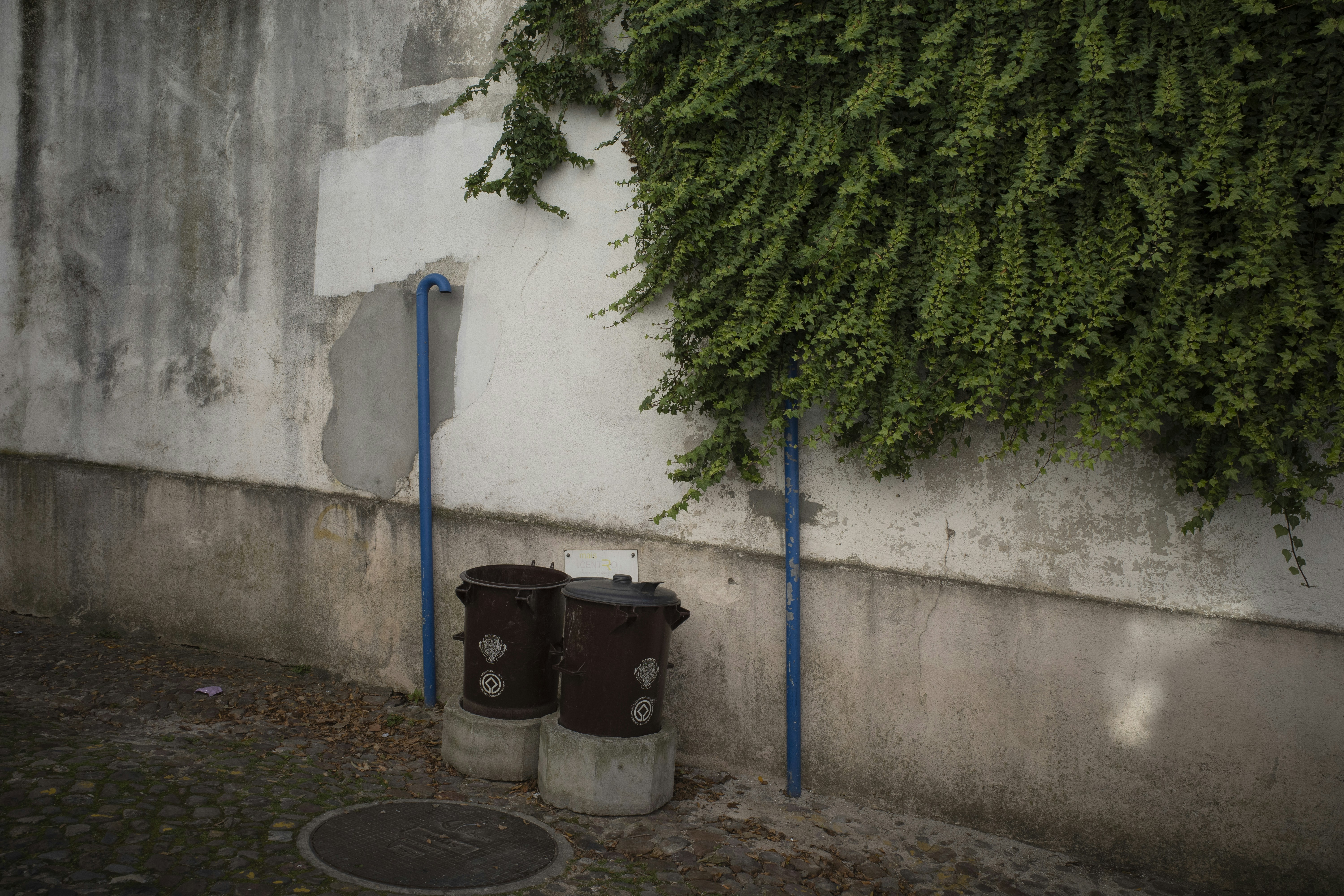 Twin Bins Beside a Weathered Wall, Framed by Ivy and Blue Poles