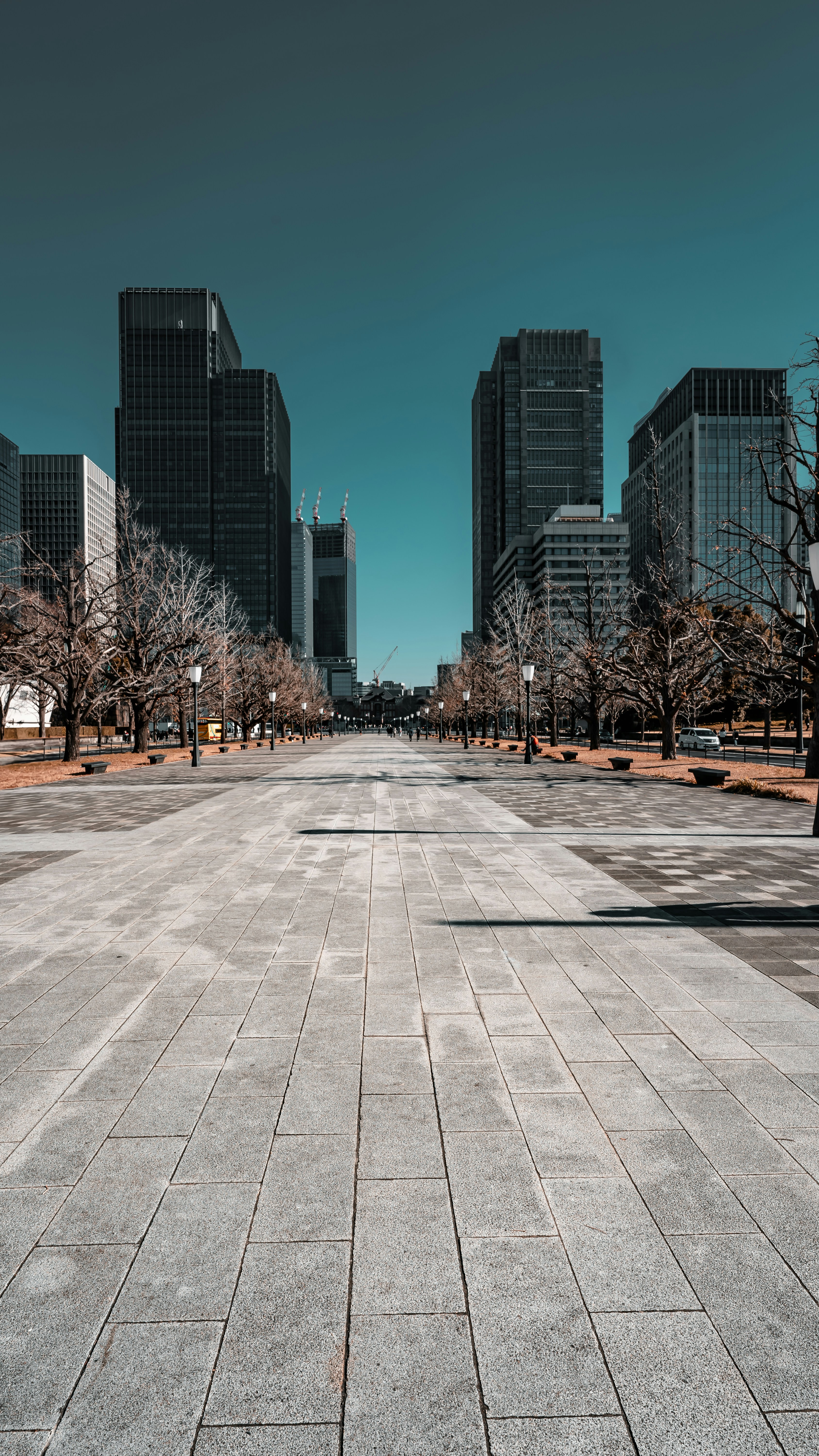 Centerline to the Glass Horizon: A Converging City Boulevard