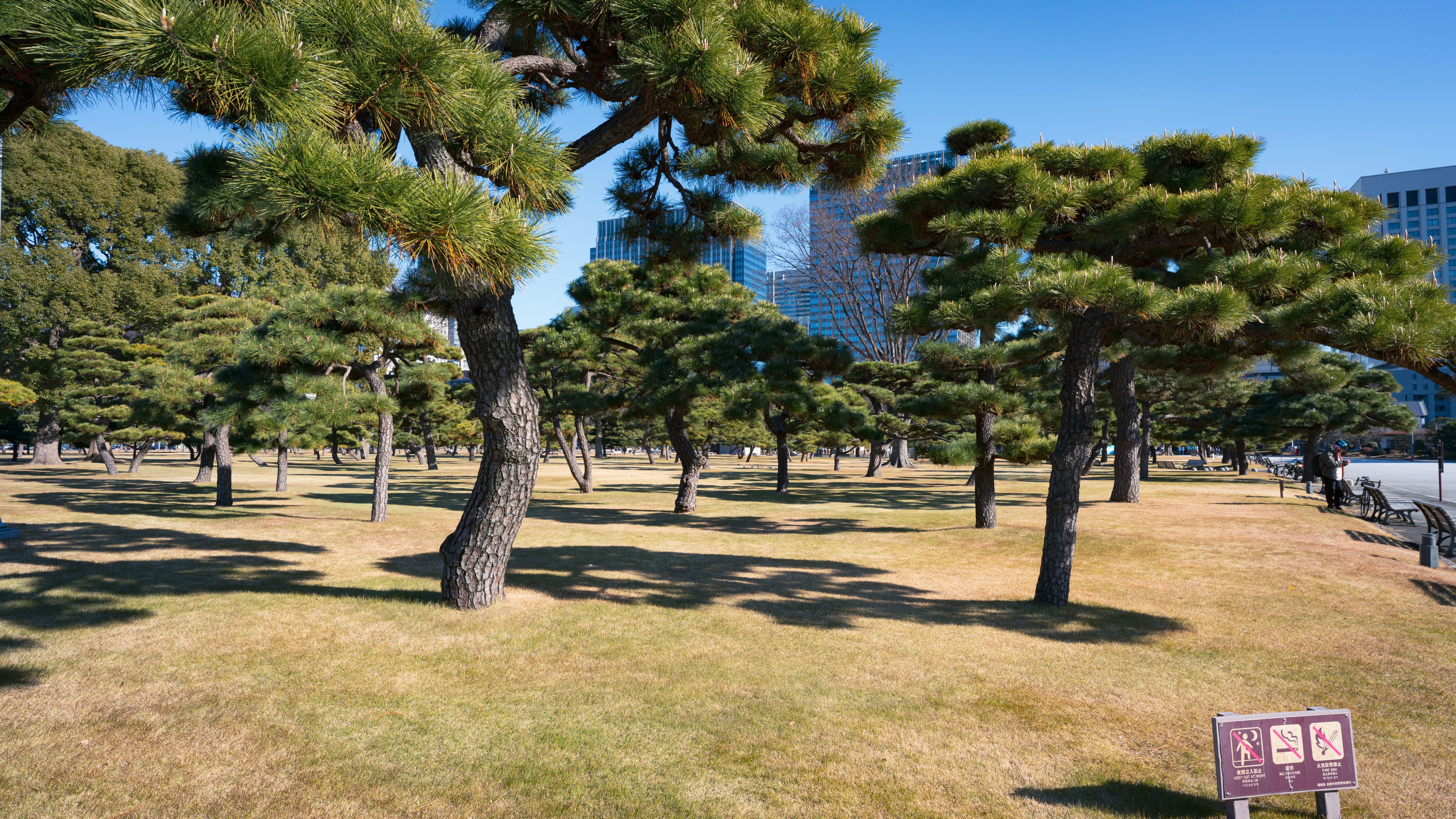 Photo by Data Lore with Sony Alpha 7C