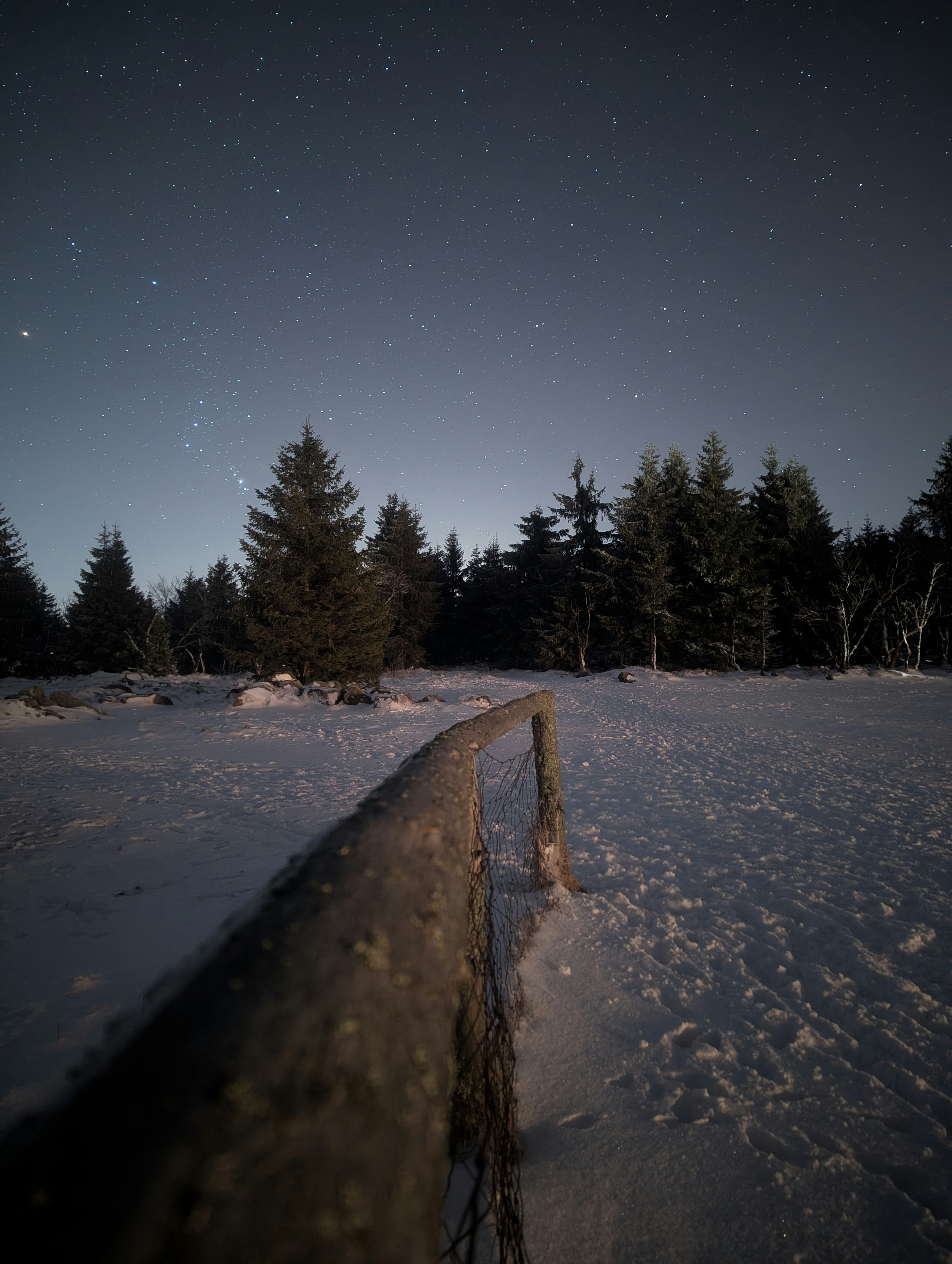 A snowy field with trees and stars in the sky photo – Free Wallpaper ...