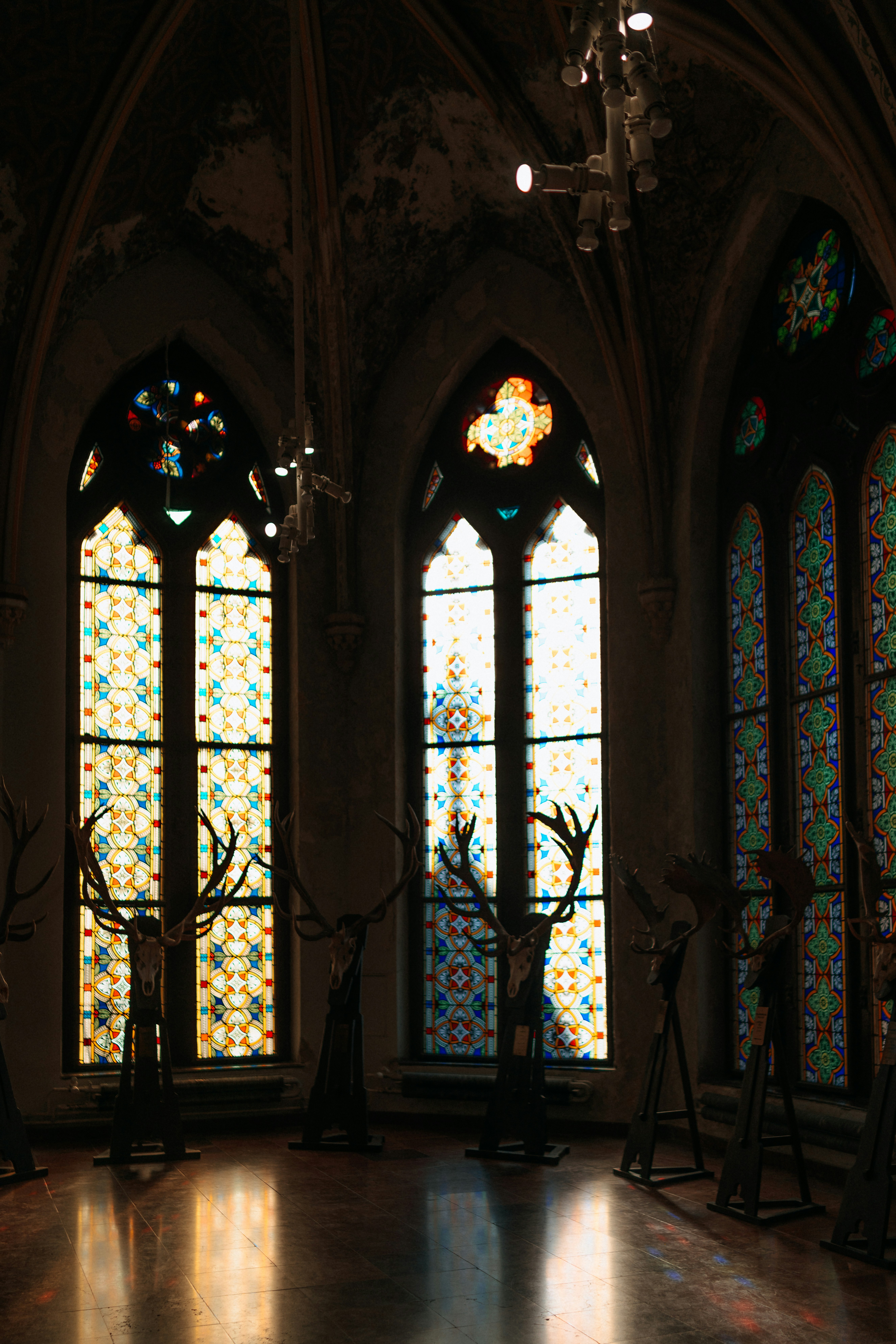 Antlered Silence in a Cathedral: Backlit Stained Glass and Silent Racks