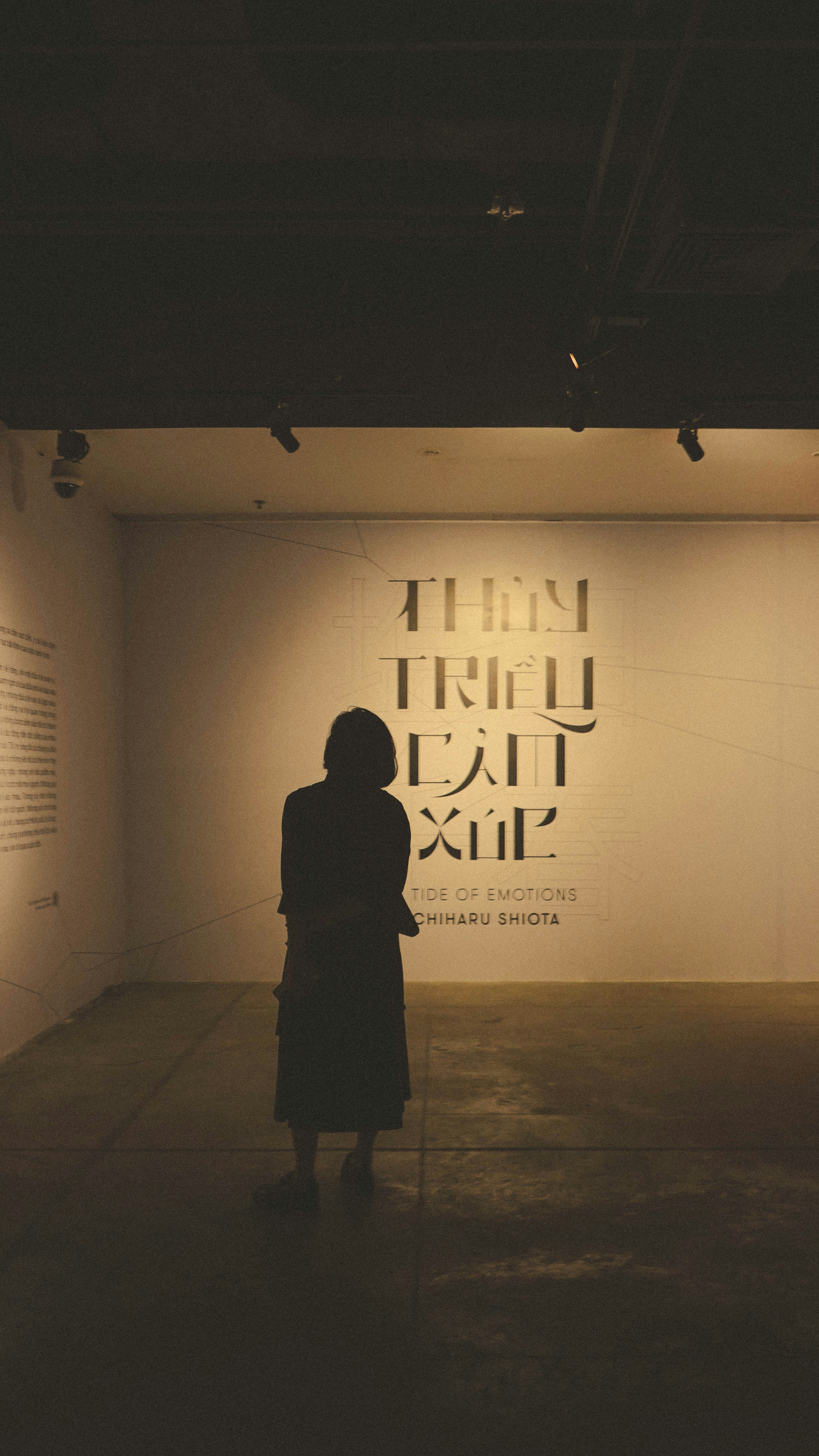 Silhouette Amid Bold Typography: A Quiet Gallery Moment