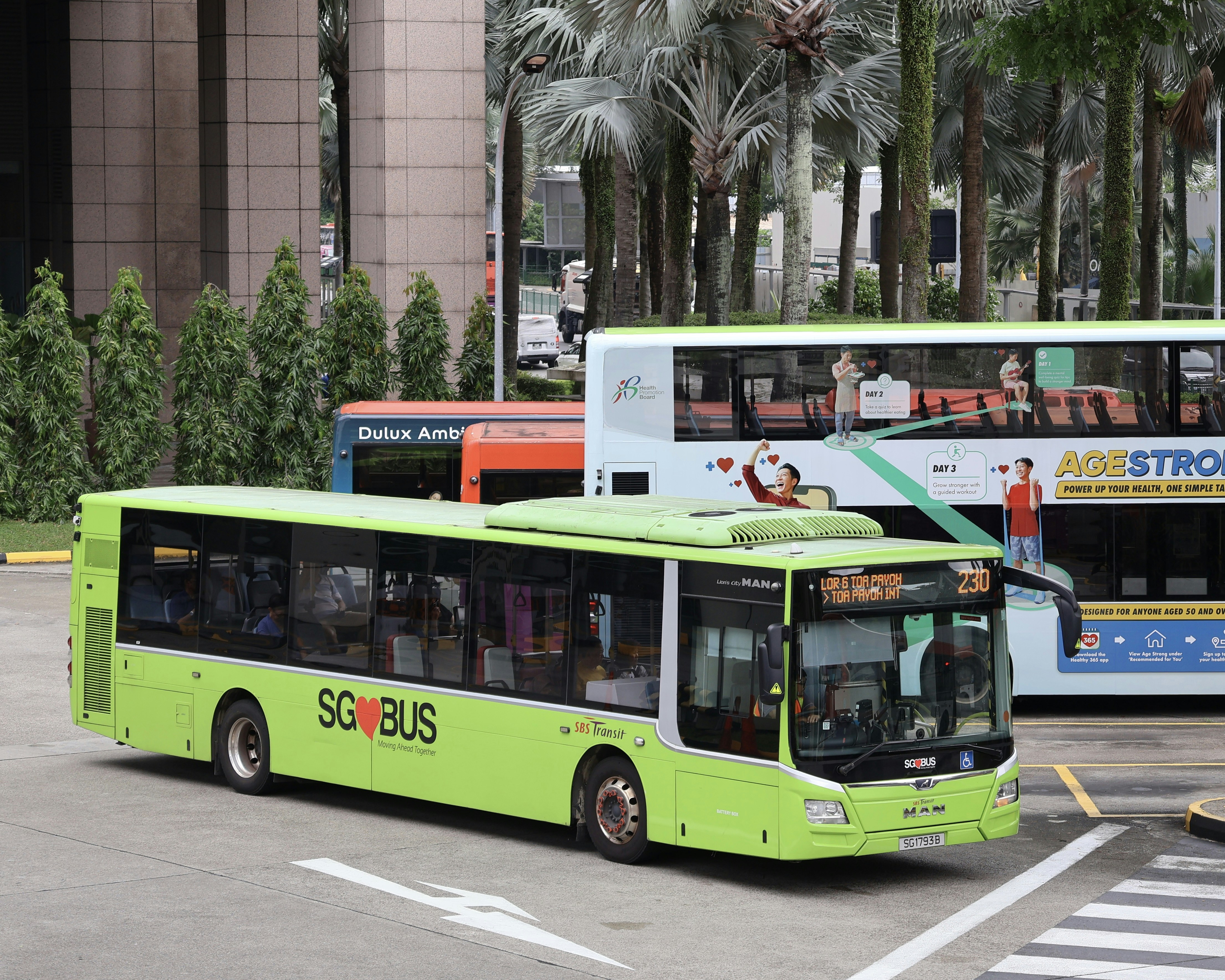 A green bus driving down a street next to tall buildings photo – Free ...