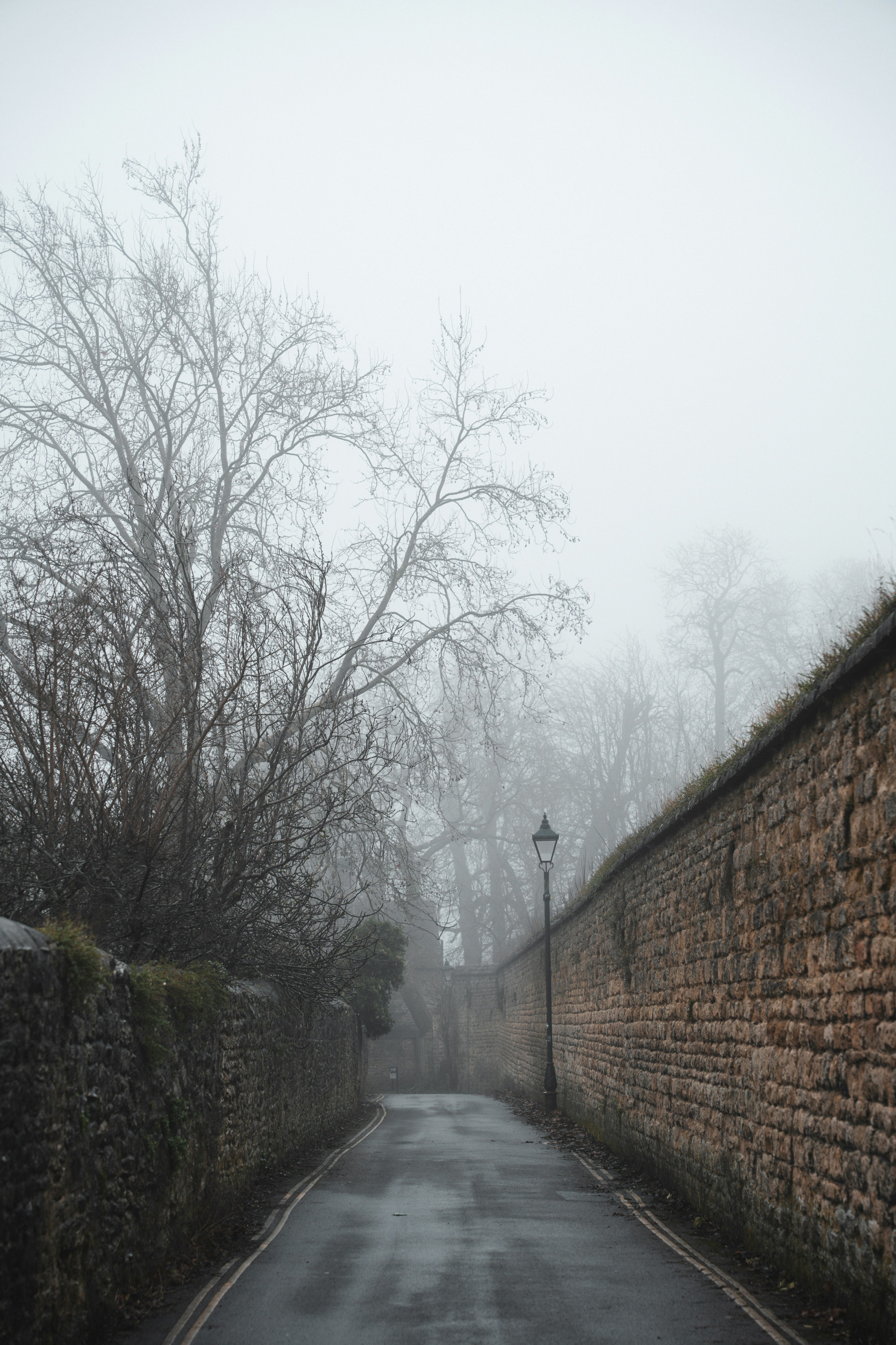 Misty Lane: A Quiet Corridor Between Ancient Walls