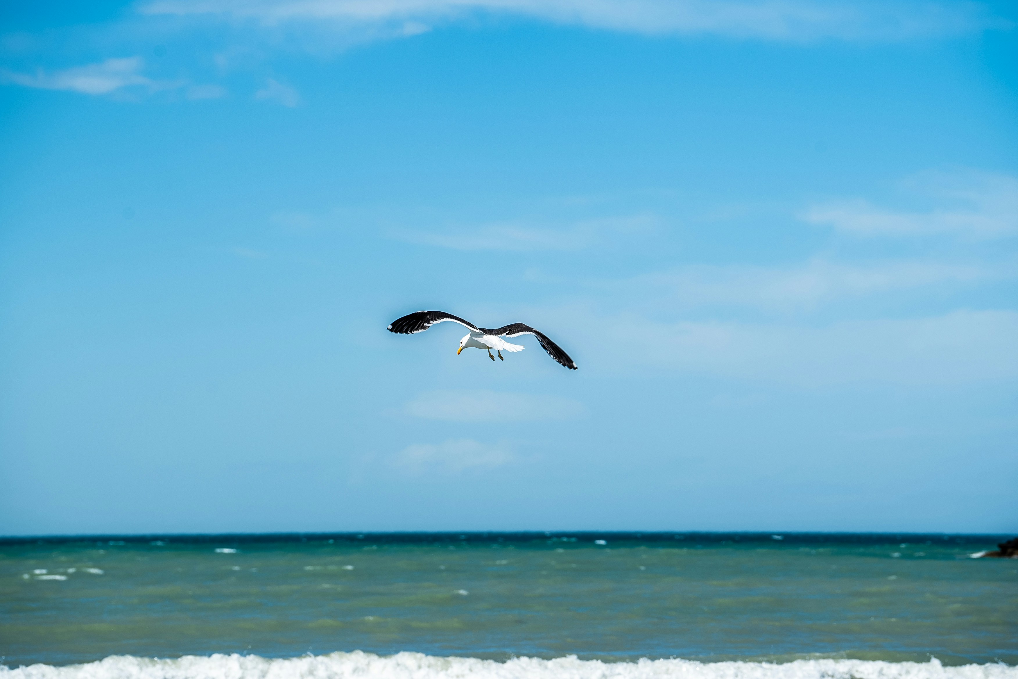 Timaru Pictures | Download Free Images on Unsplash