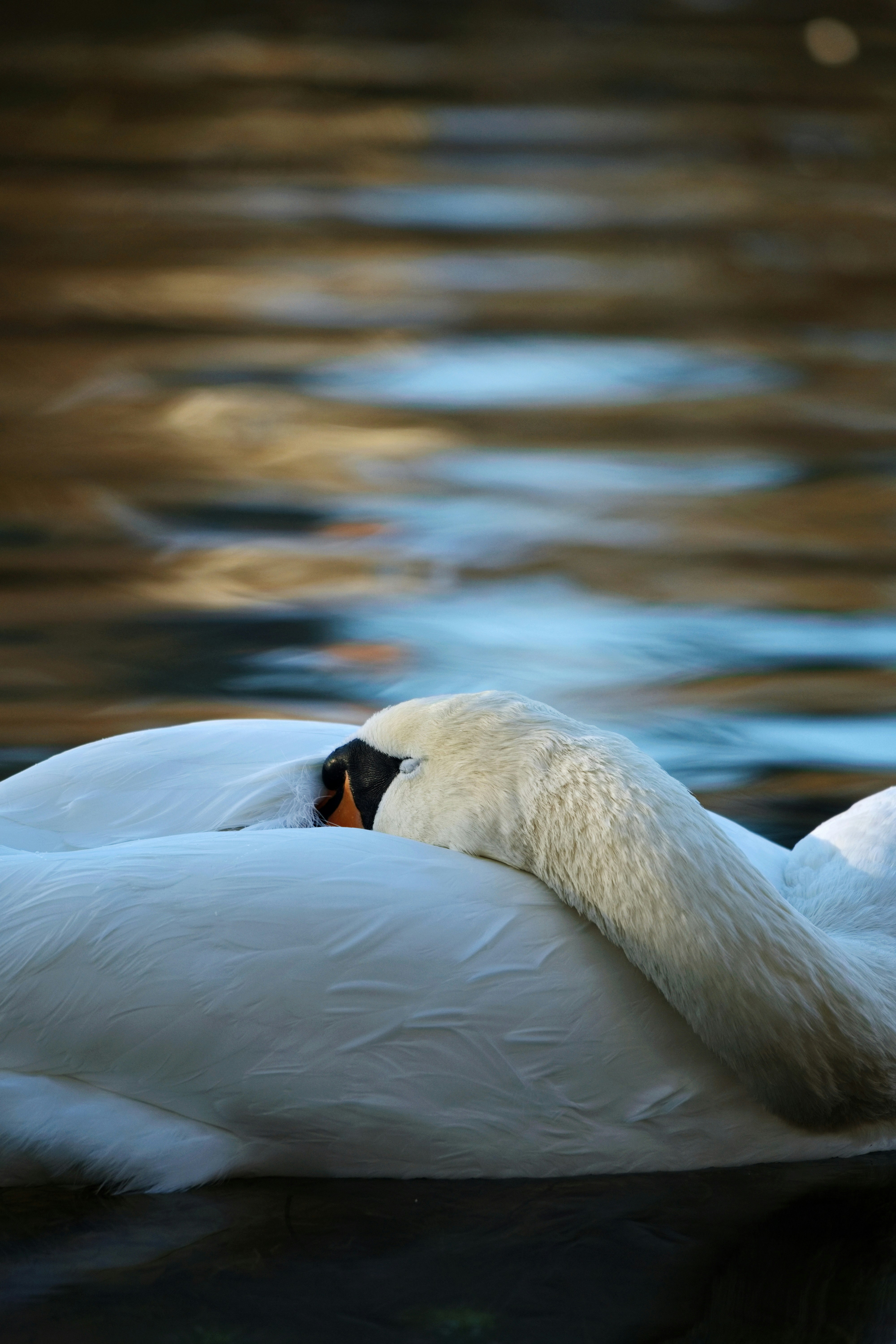 Photo by Aljaž Kavčič with Sony Alpha 6400