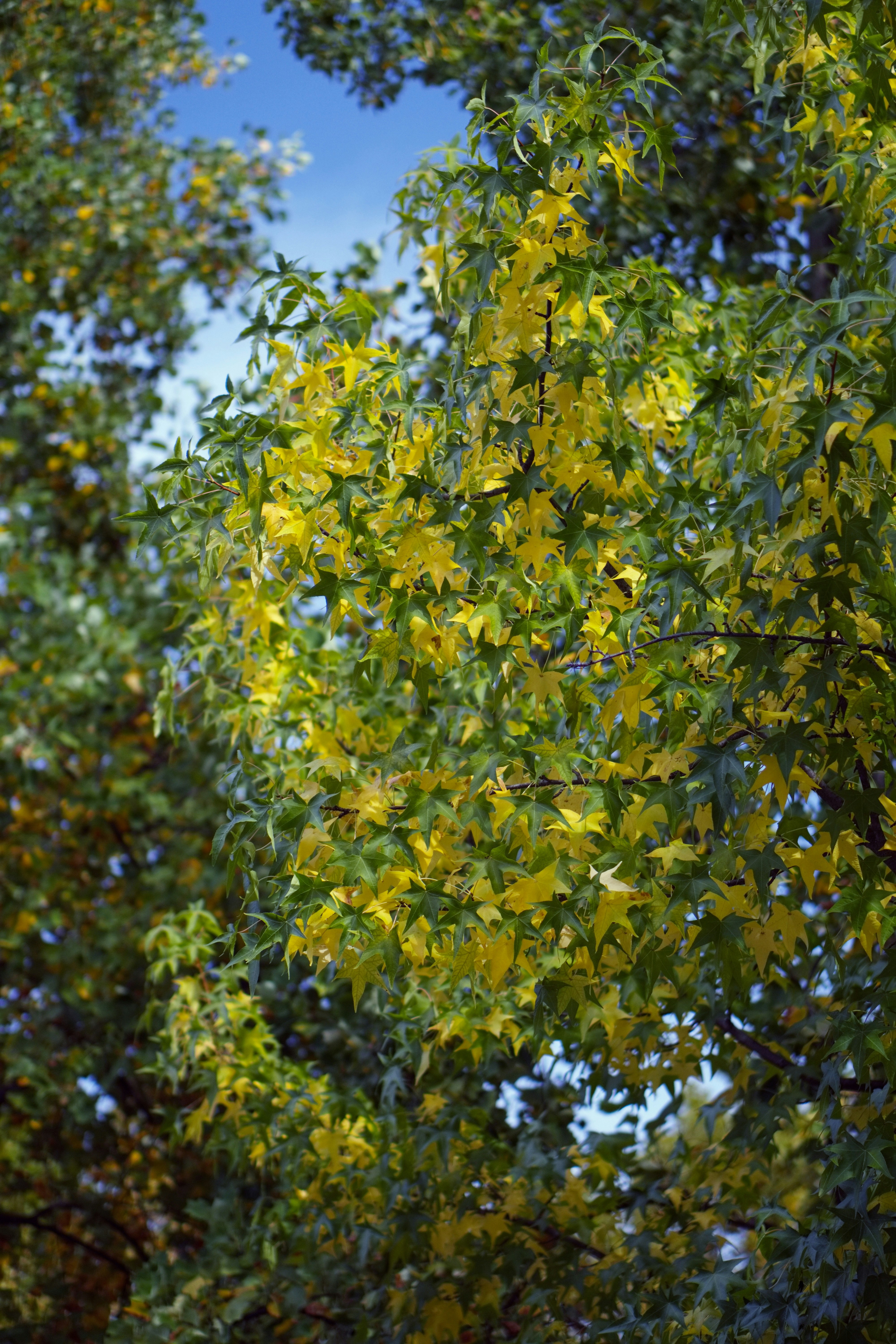 Photo by Aljaž Kavčič with Sony Alpha 6400