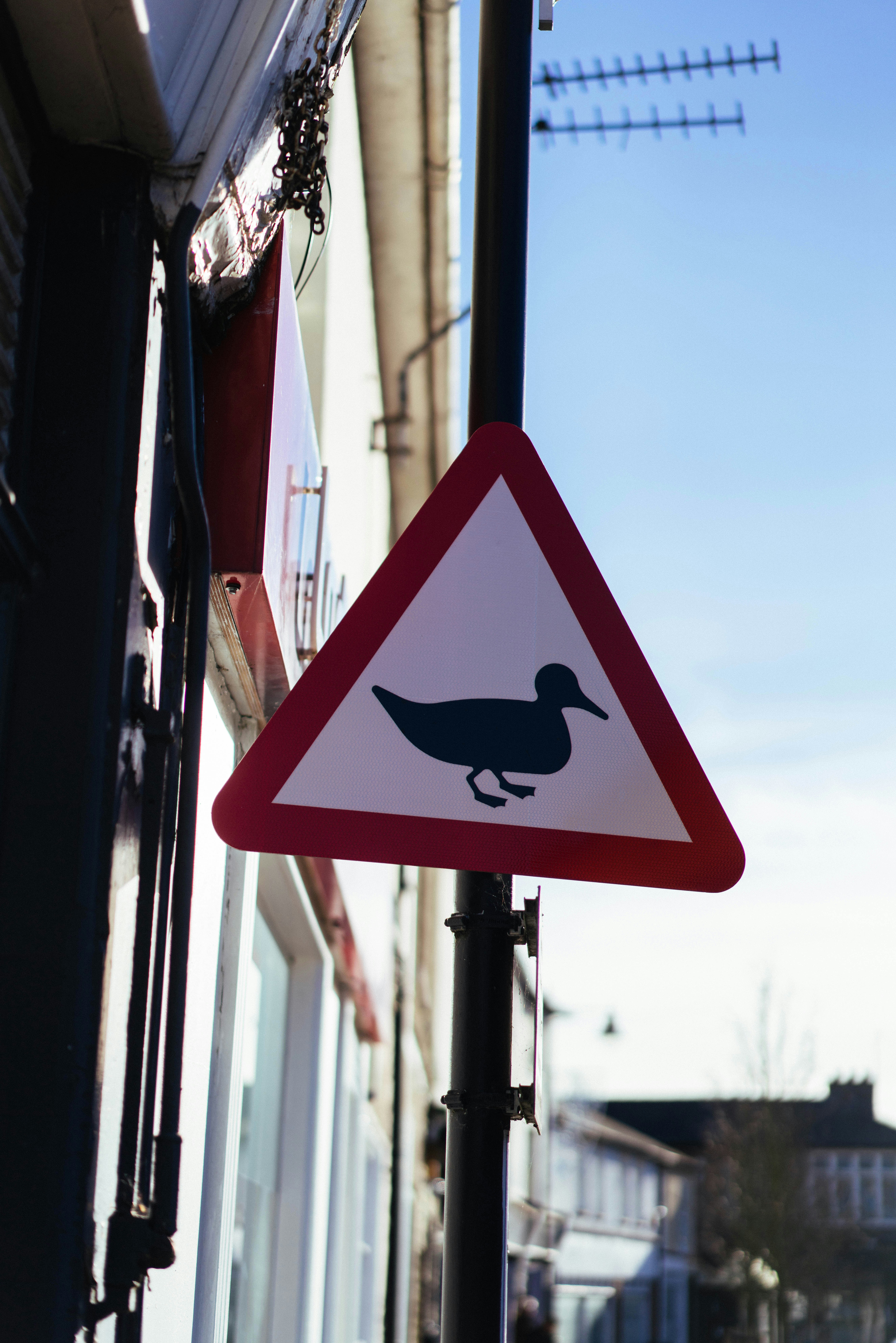 Photo by Phil Hearing with Sony Alpha 7R III