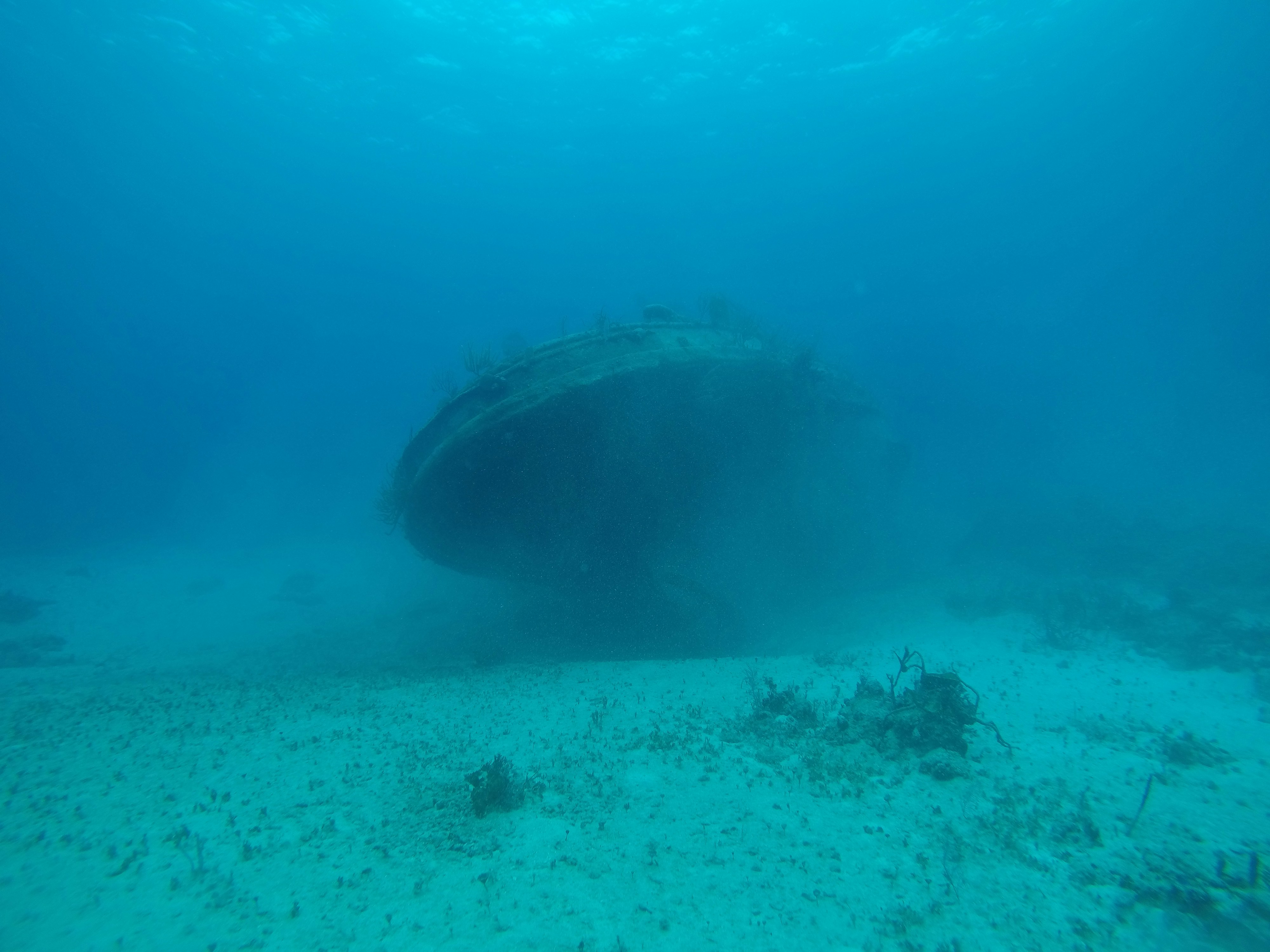 Echoes of the Deep: A Sunken Mystery