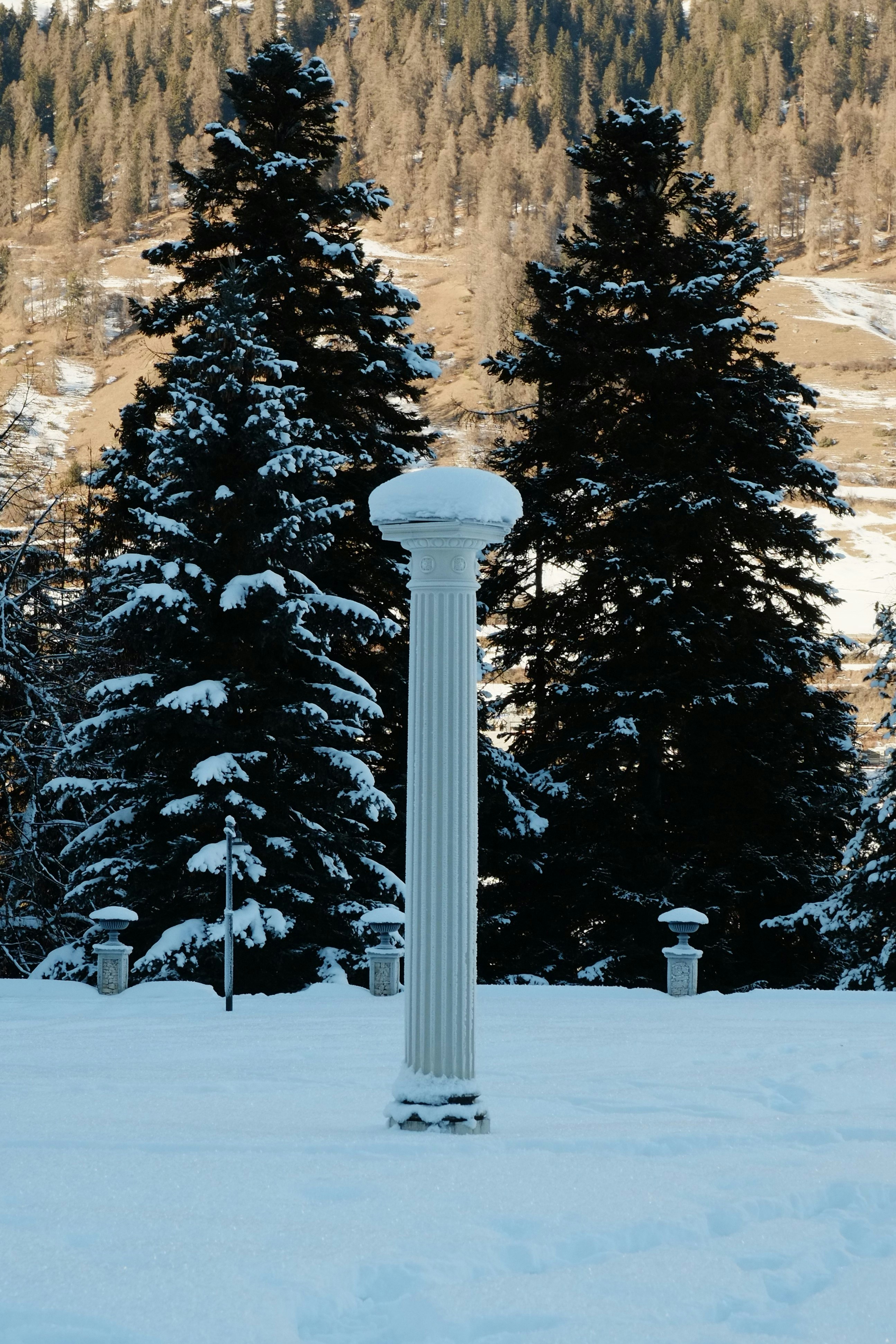 Snowbound Sentinel: The Pedestal Among Silent Pines