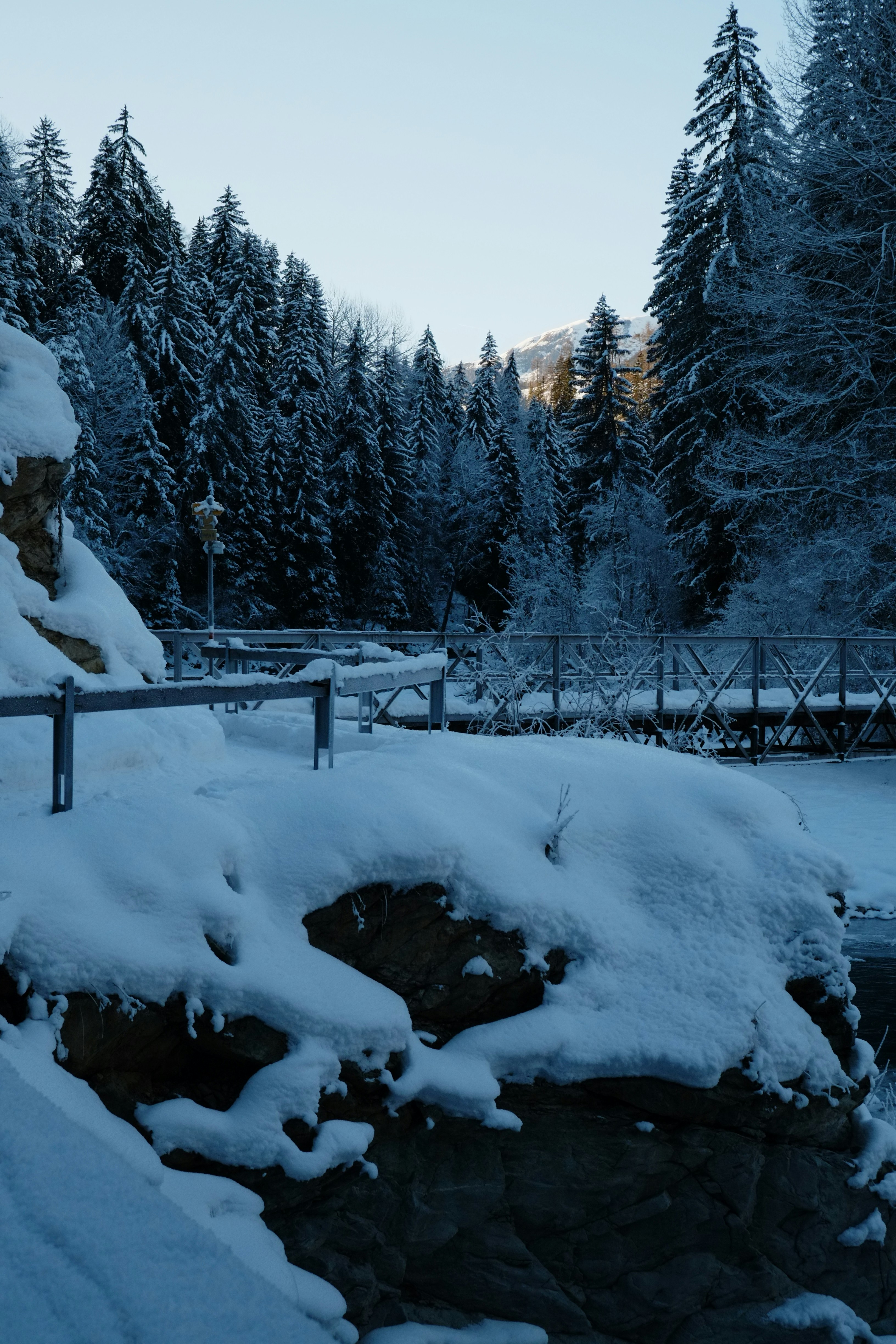 Azure Silence over Frosted Pines and a Quiet Bridge
