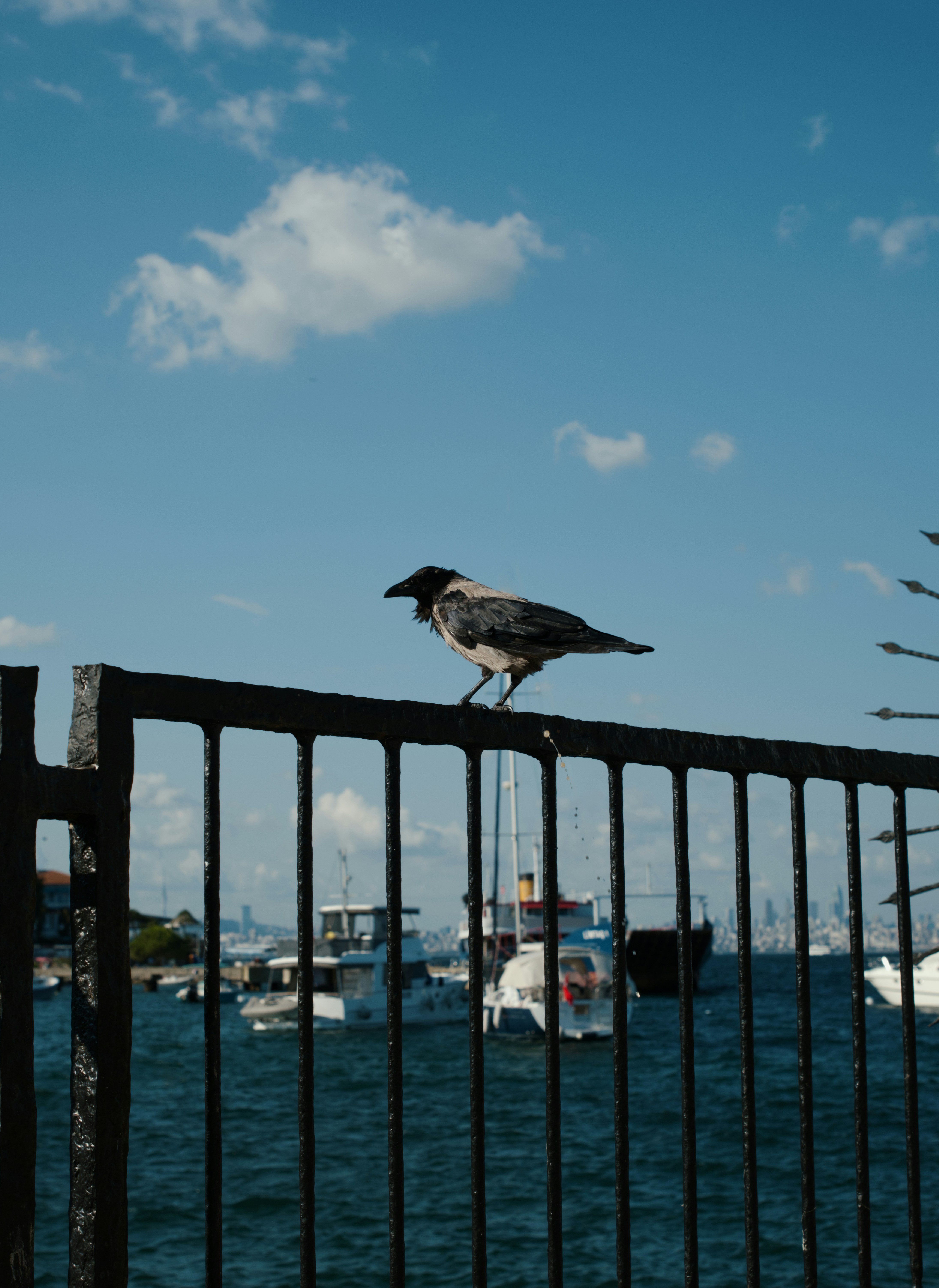 Photo by Ilker Ozmen with Fujifilm X-H2