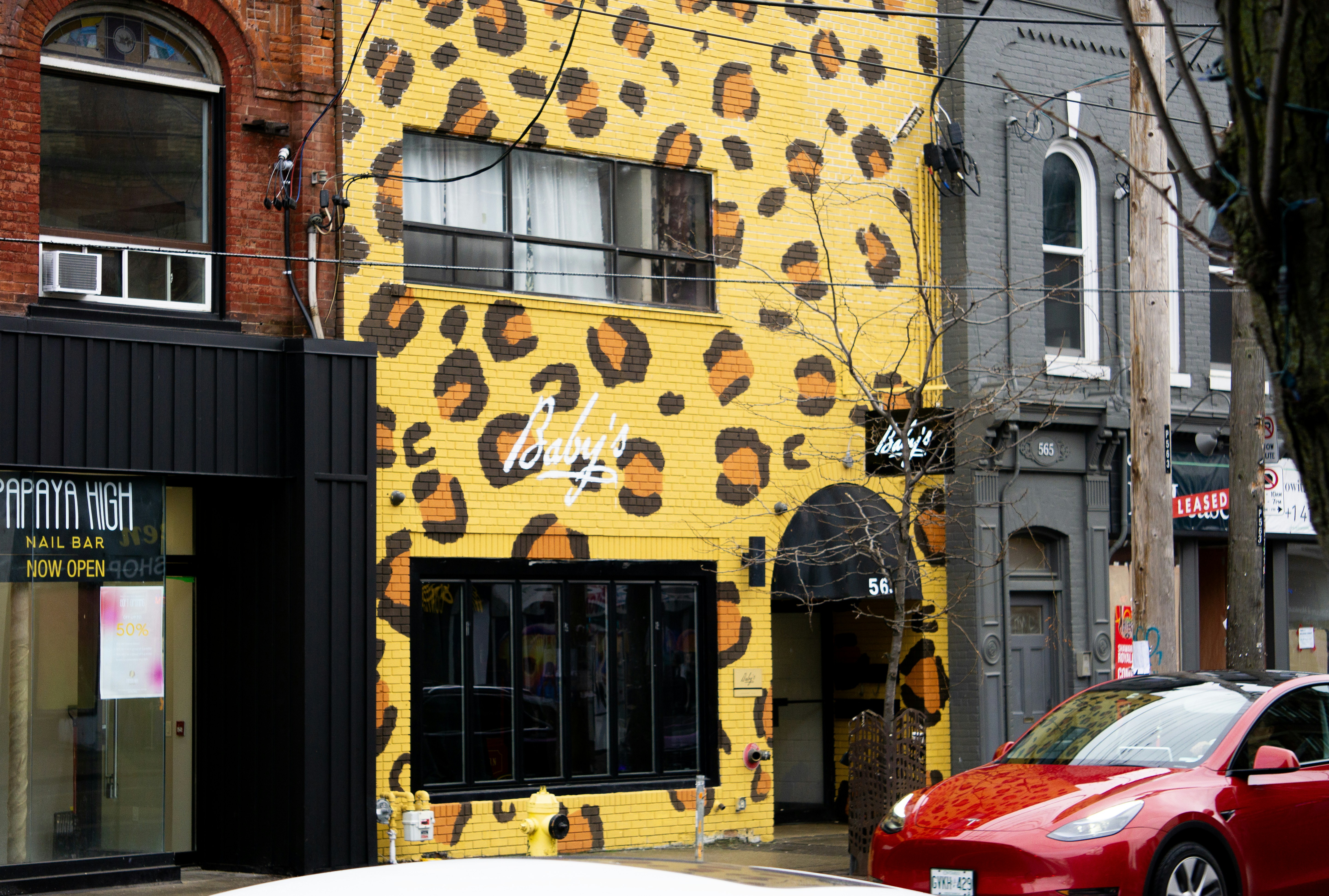Leopard-Print Facade Turns a City Block into a Safari of Color