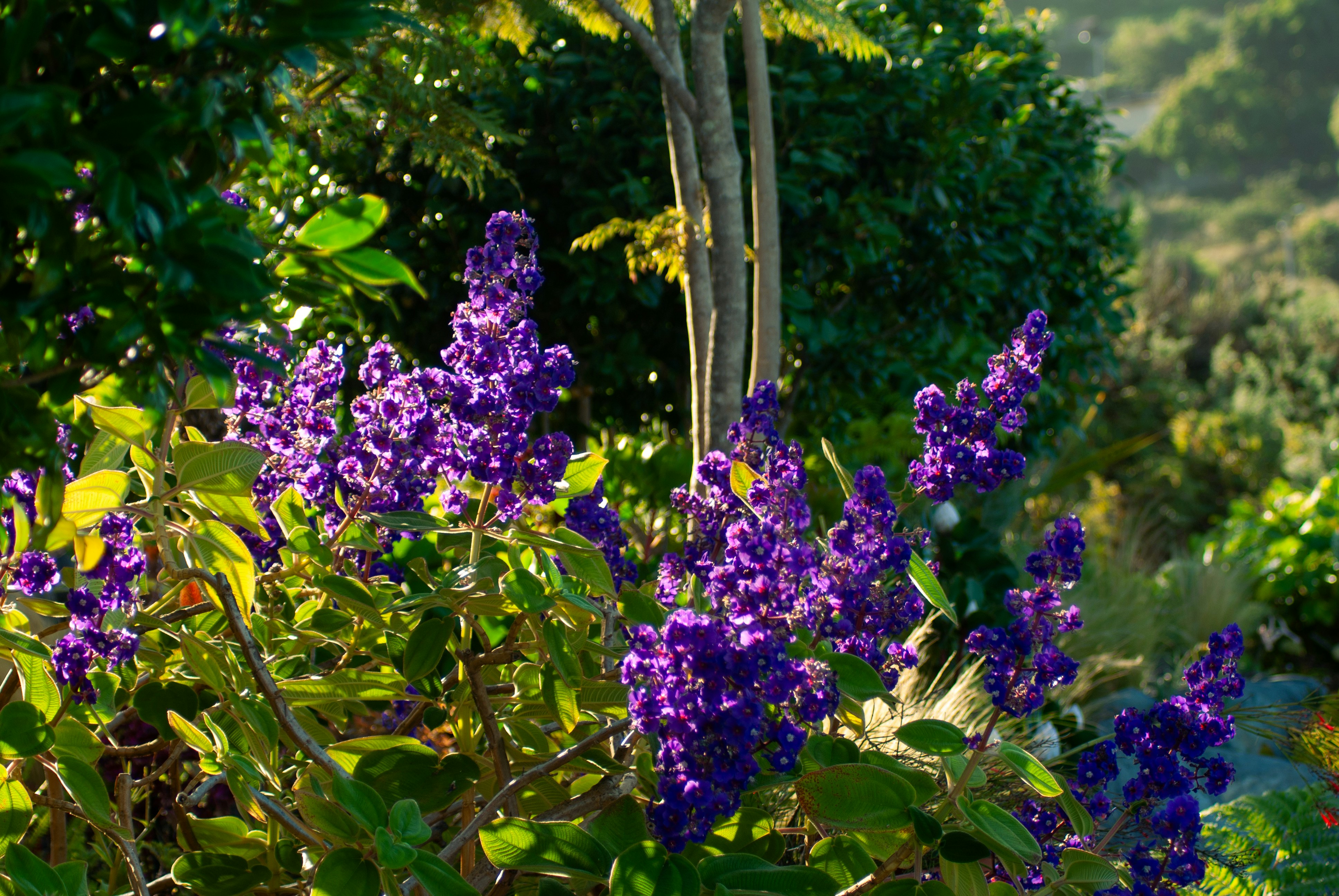 Photo by Julia Oberhauser with Sony Alpha 100