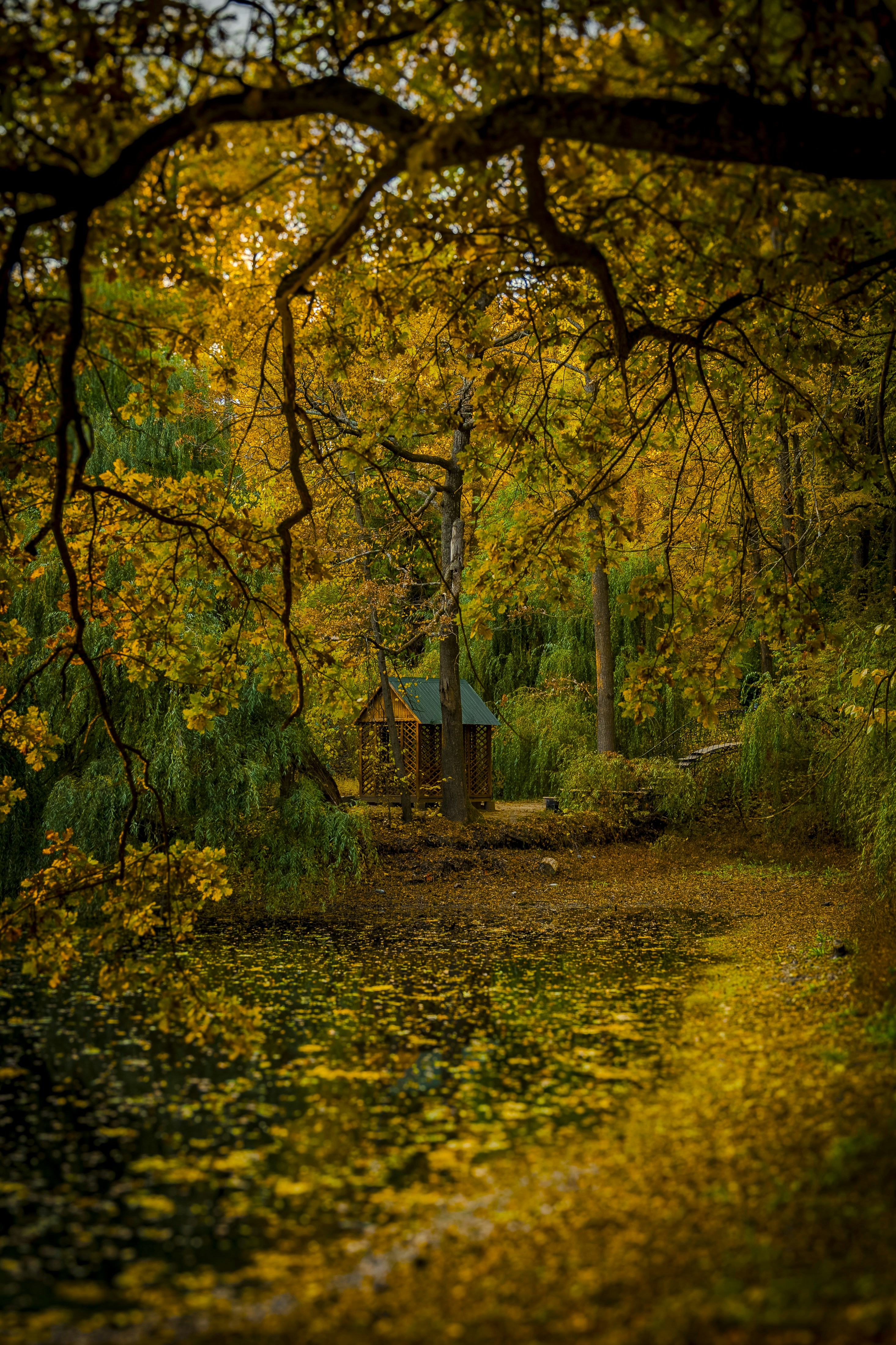 Whispers of Autumn: A Hidden Retreat