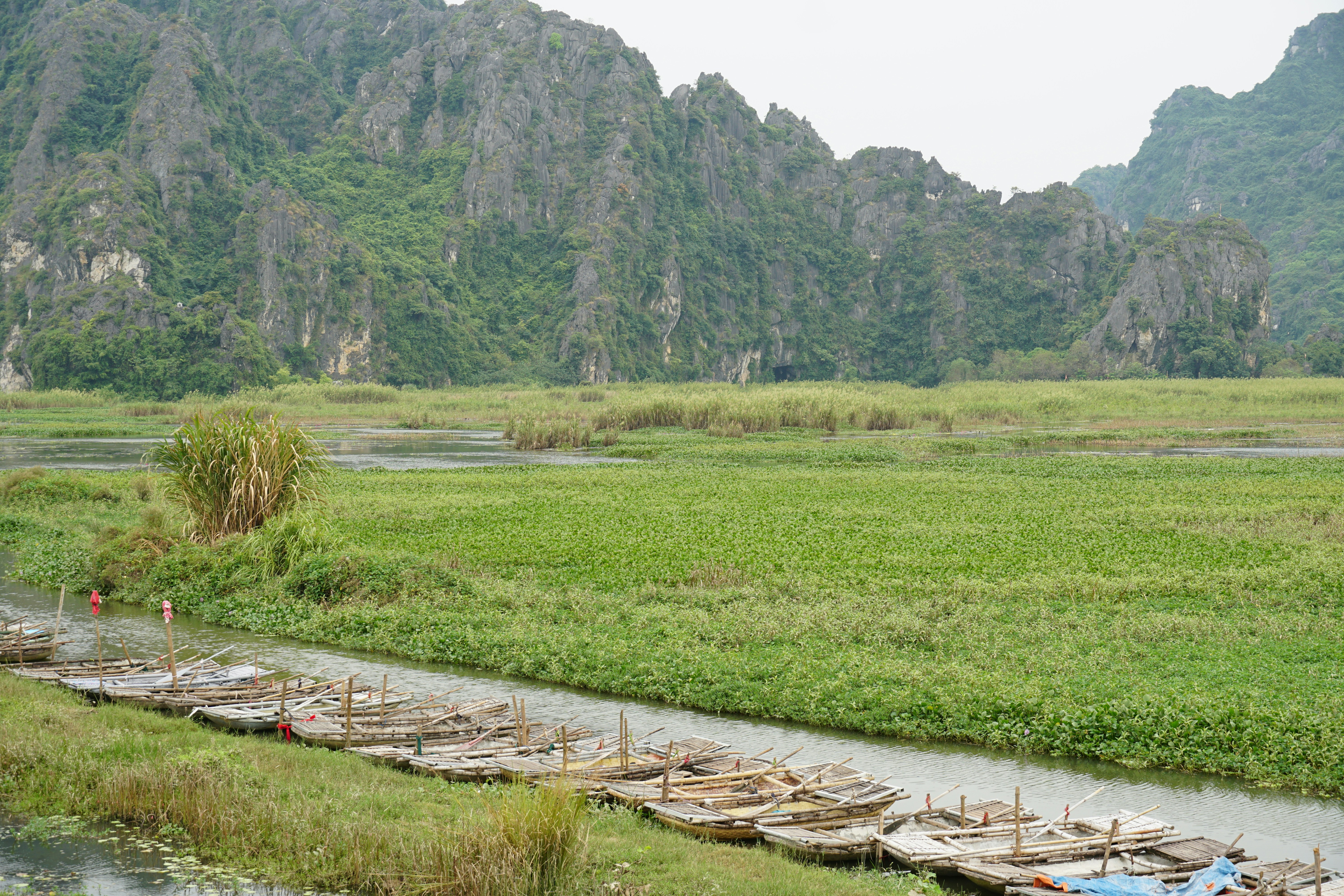 Rowboats line a tranquil river with lush greenery and towering limestone mountains in the background.