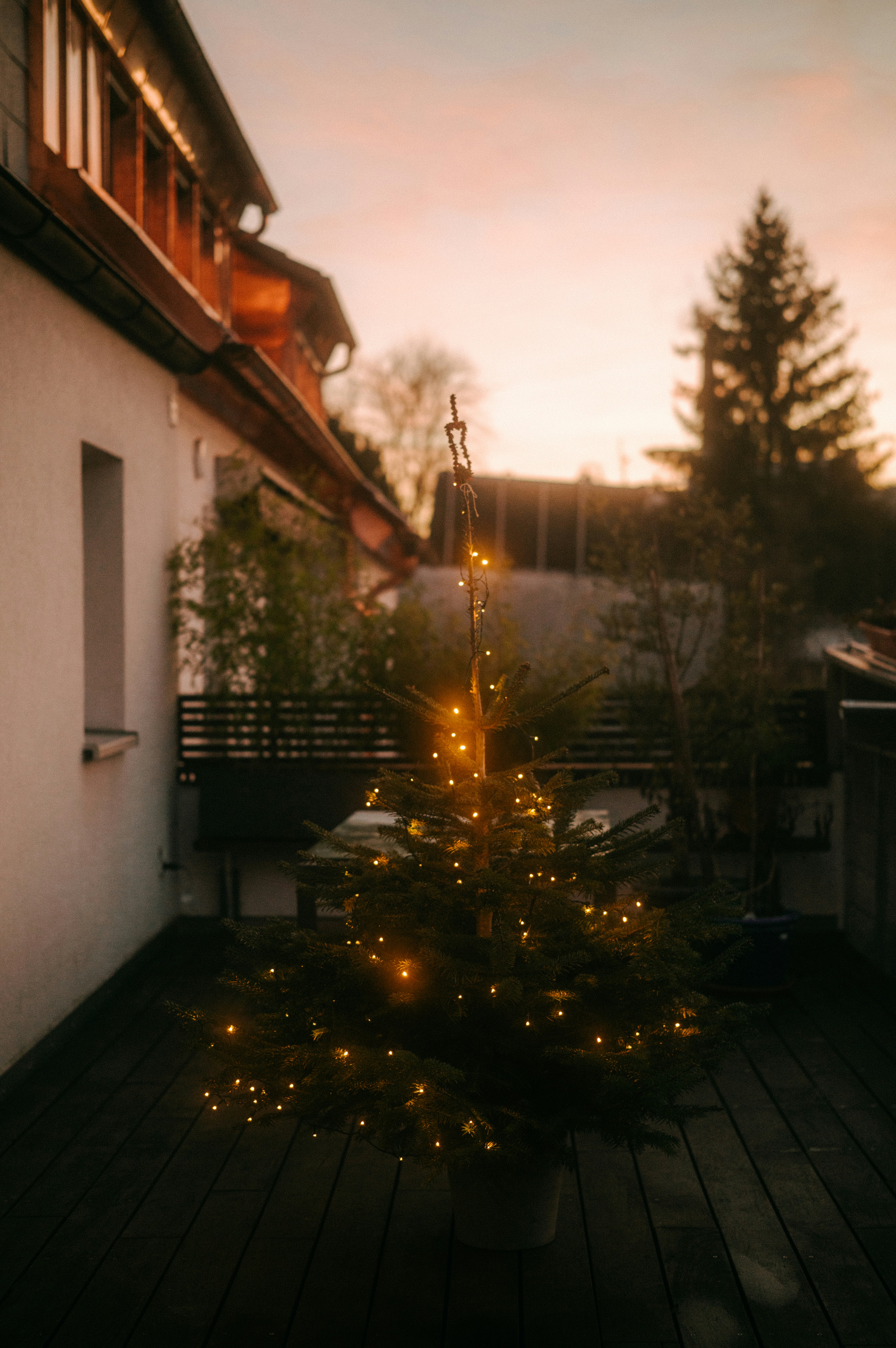 Photo by Adrian Infernus