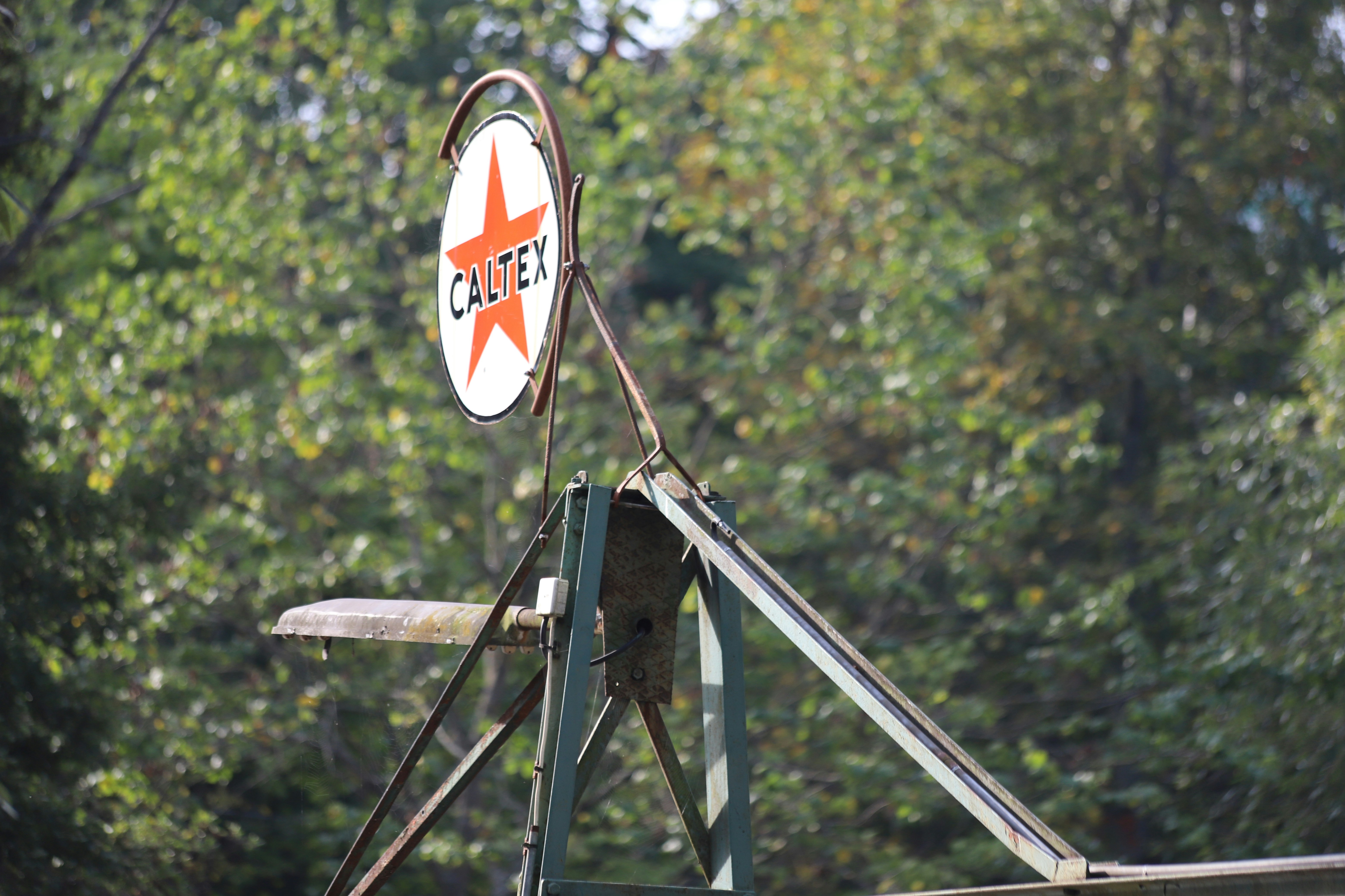 Caltex Circular Emblem Perched on Weathered Frame Amid Sunlit Greenery