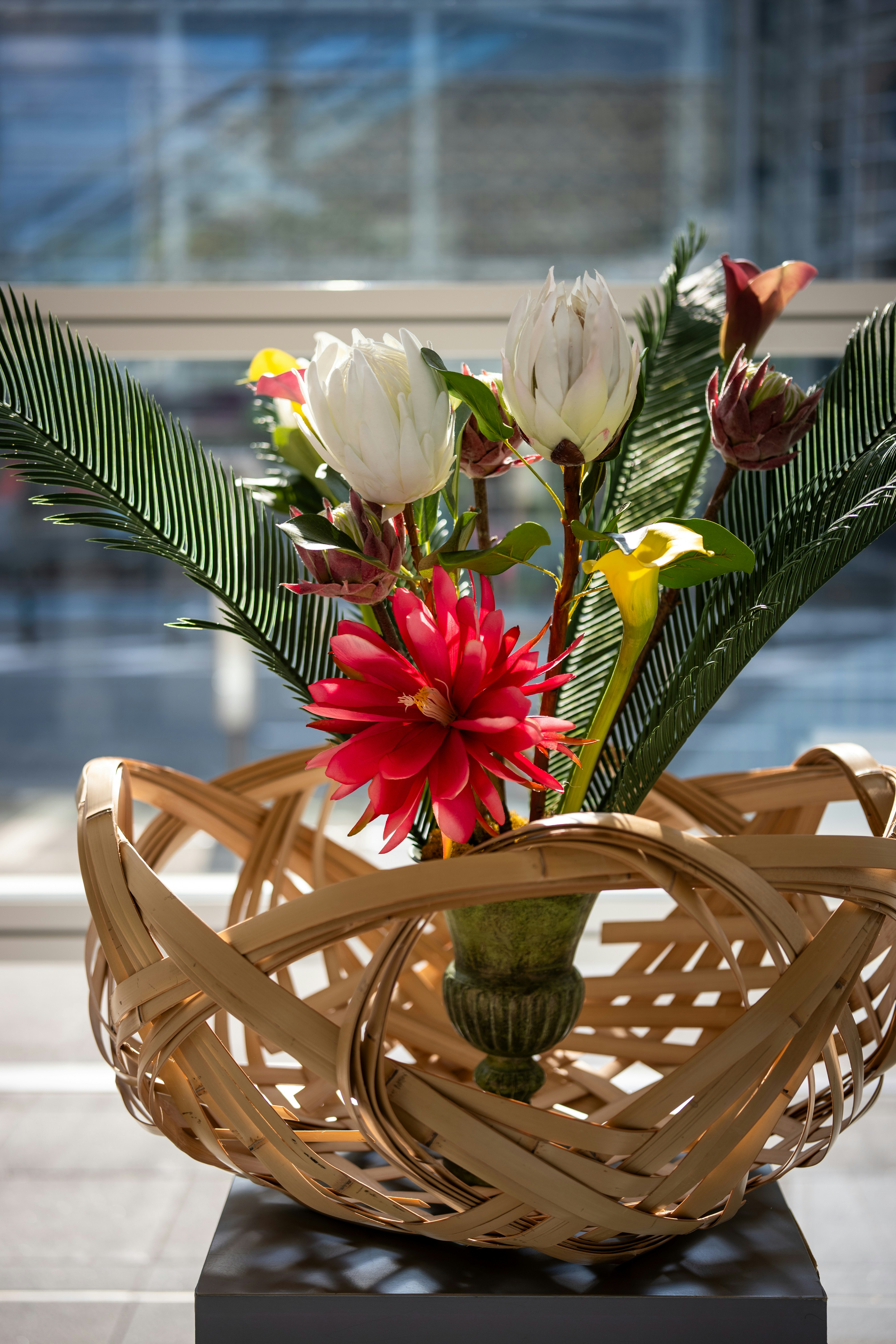 Basket of Blooming Contrasts: White Proteas and Crimson Dahlia in Twisted Willow Basket