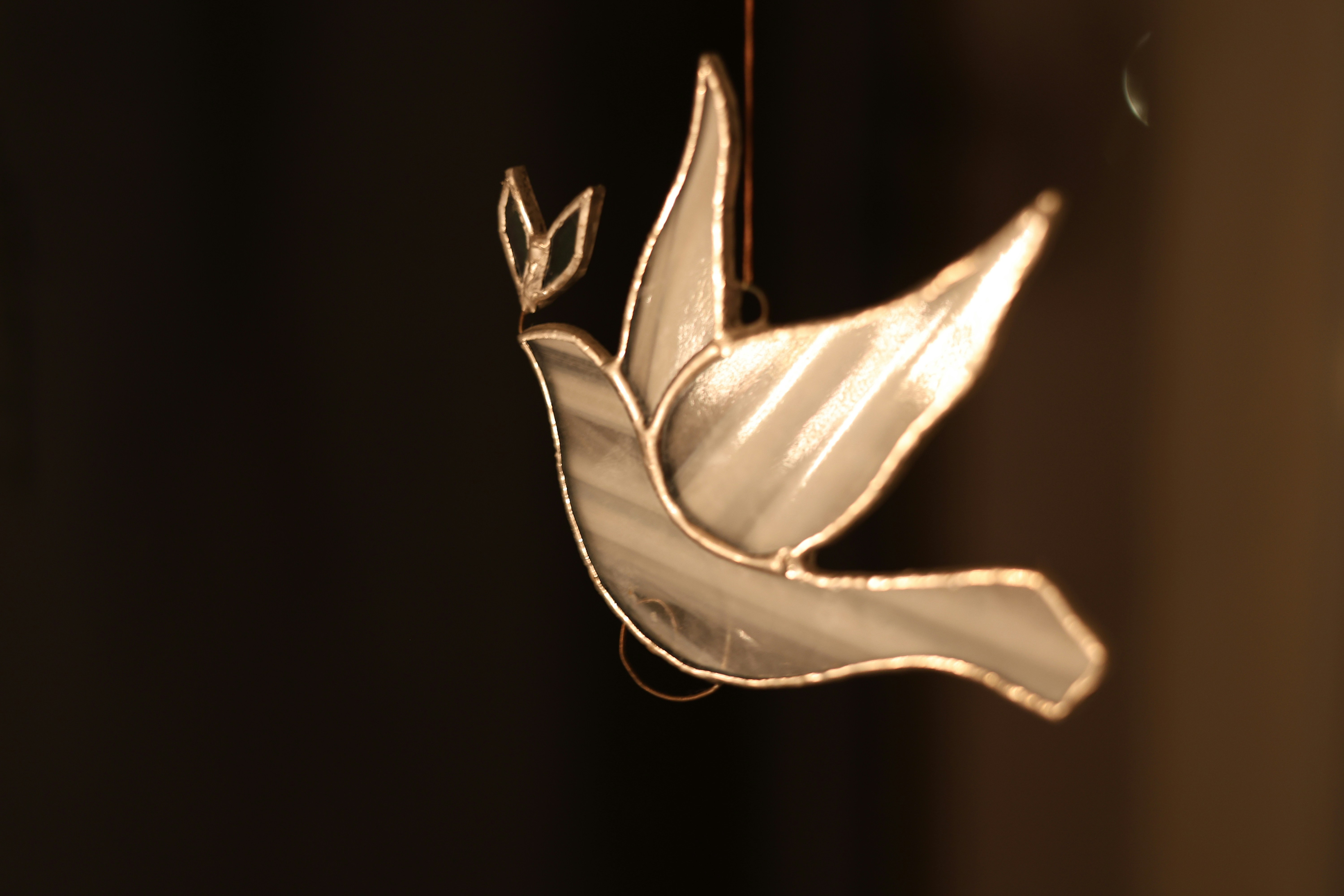 Crystalline Dove Pendant in Warm Shadows
