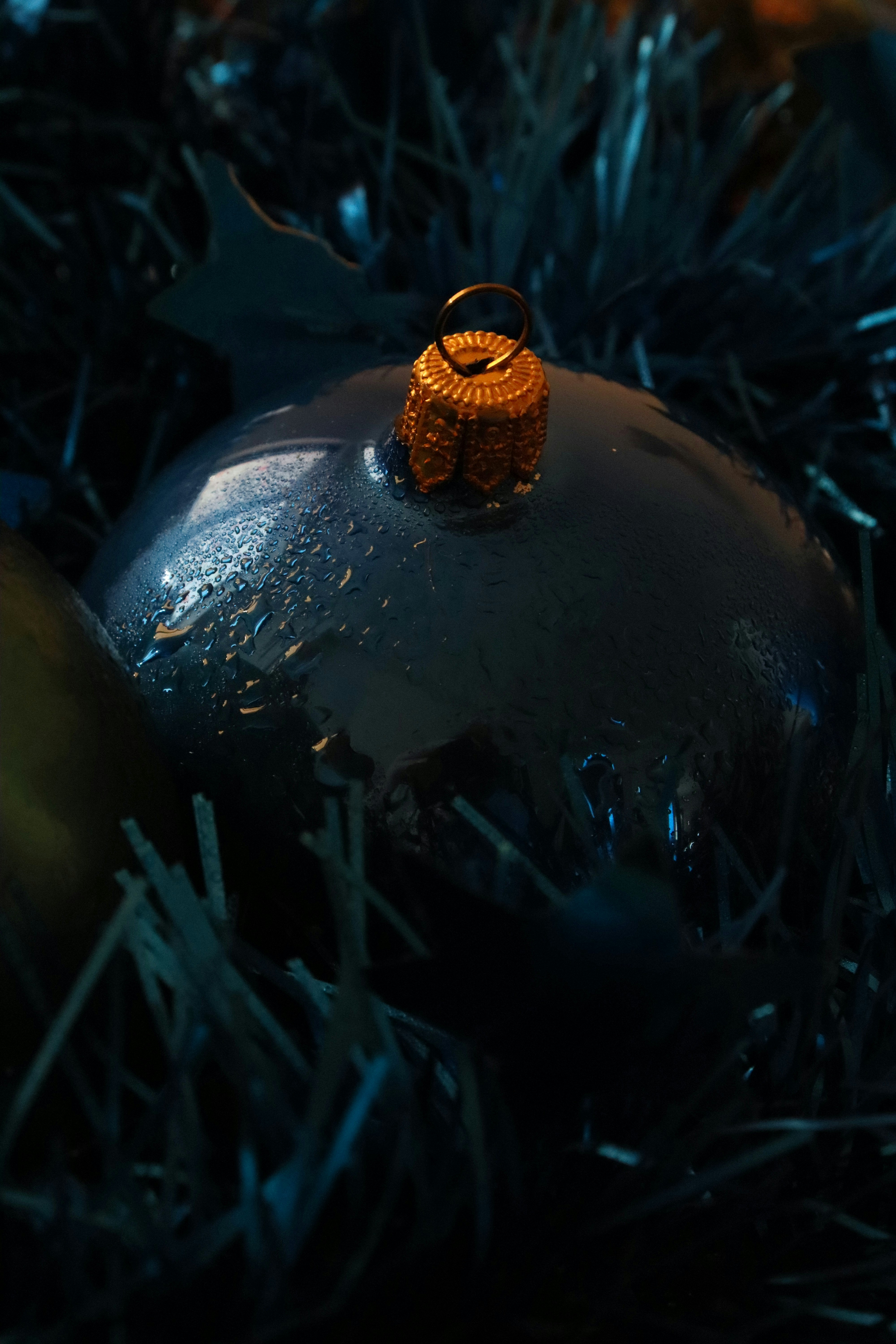 Glinting Ornament Lost in Night-Blue Grass