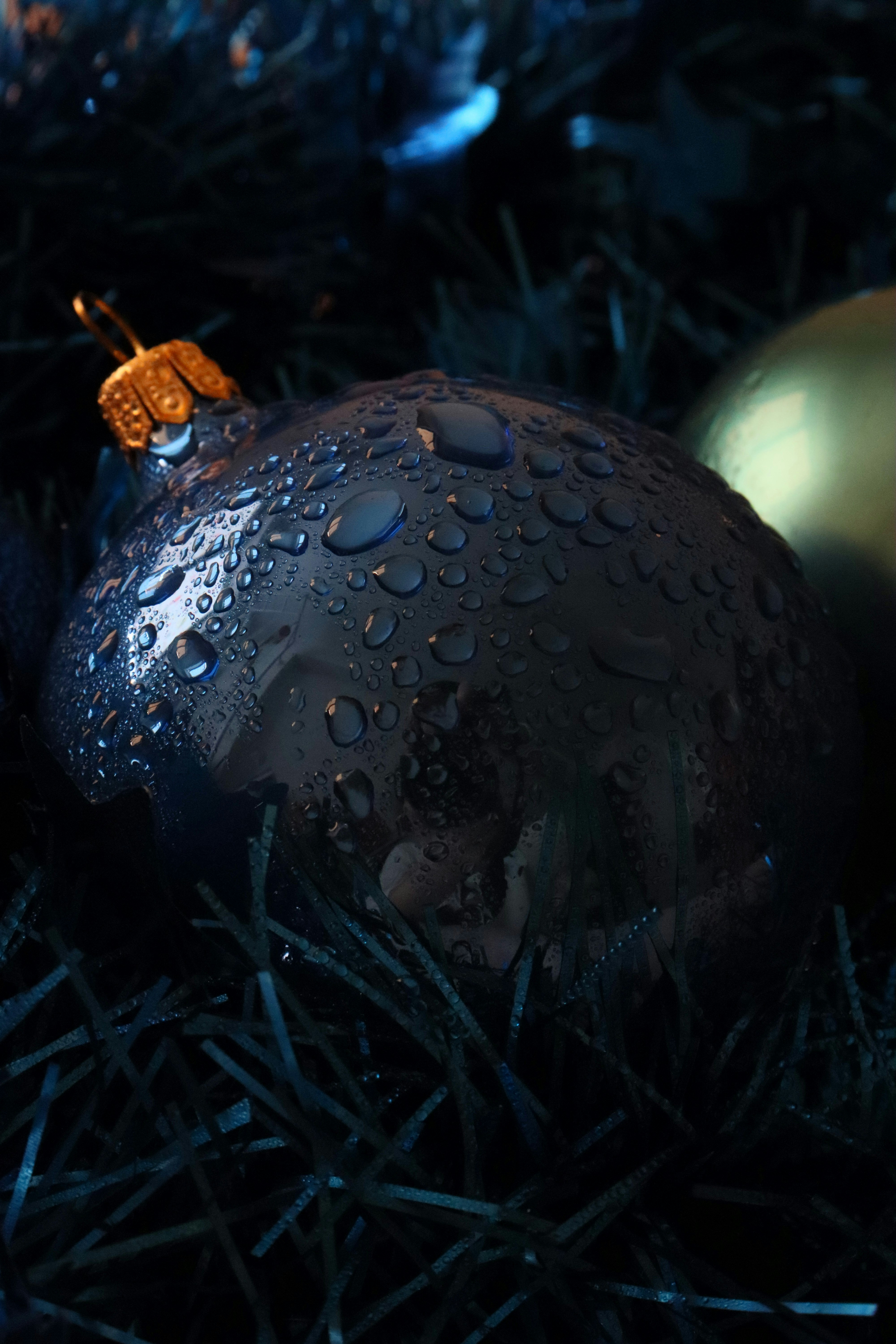 Dew-Flecked Ornament Nestled in Night Grass Under Cool Blue Light