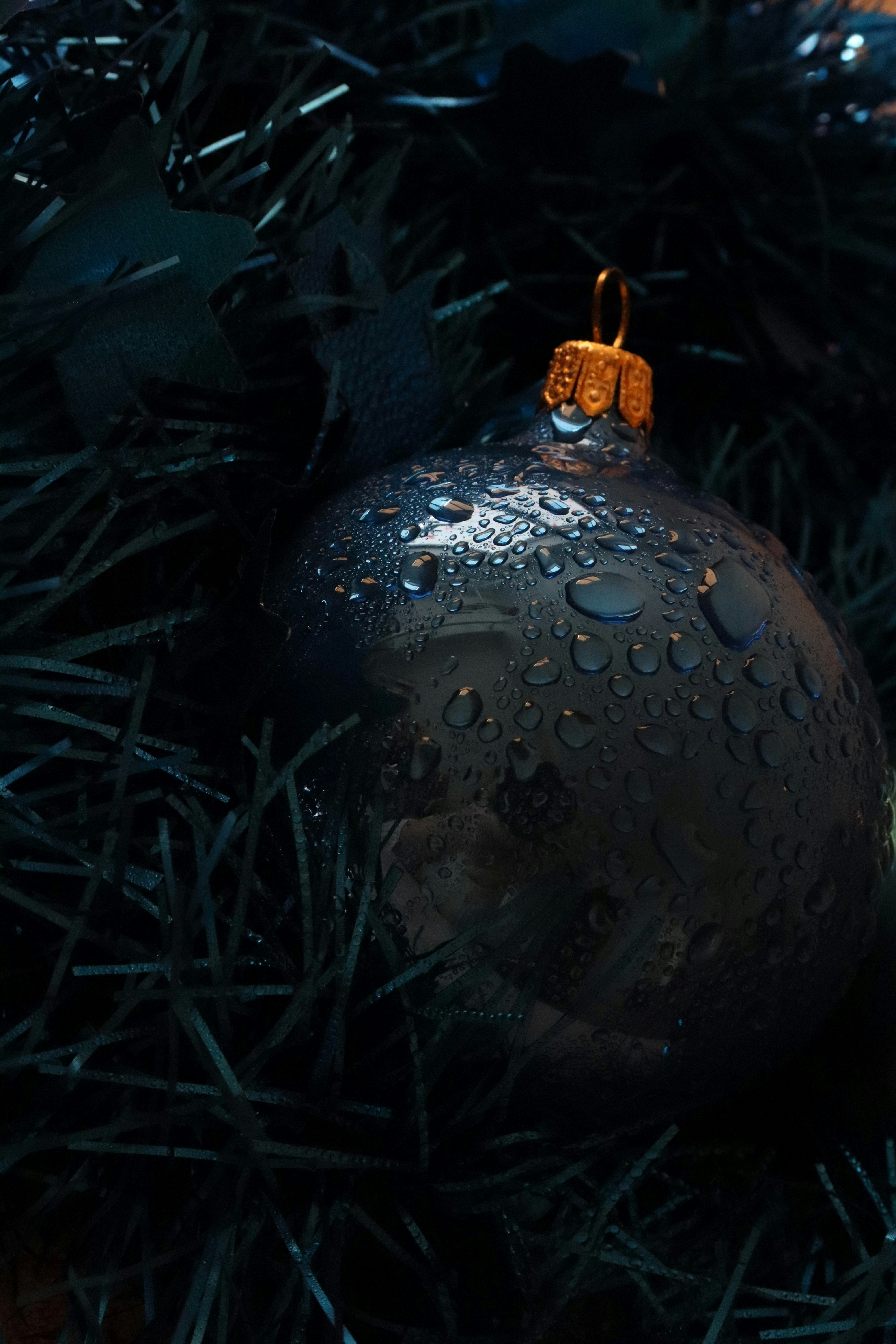 Dew-Kissed Christmas Ornament Nestled Among Night-Forest Pine Needles
