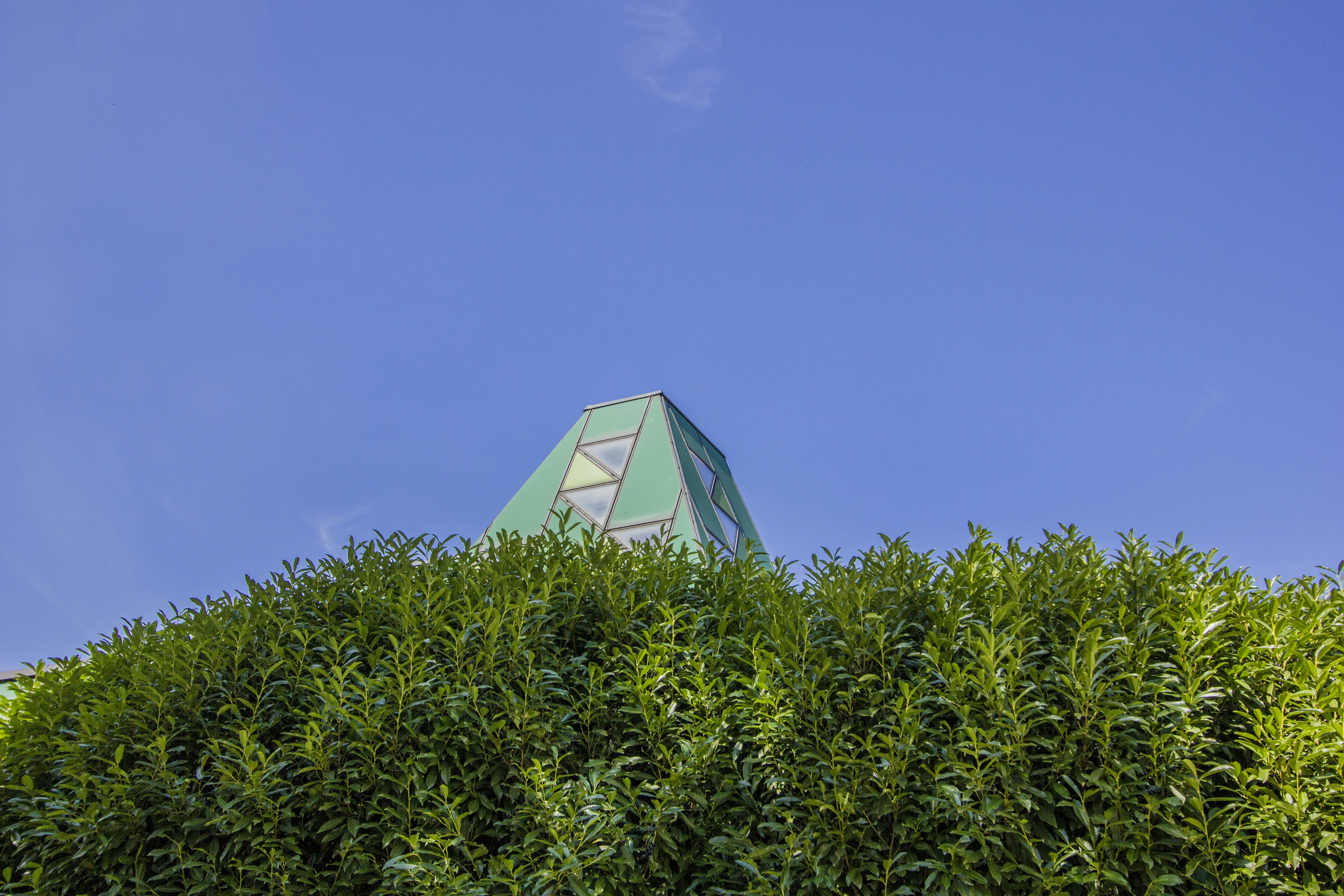 Emergent Glass Pyramid Peeking Over a Velvet Hedge