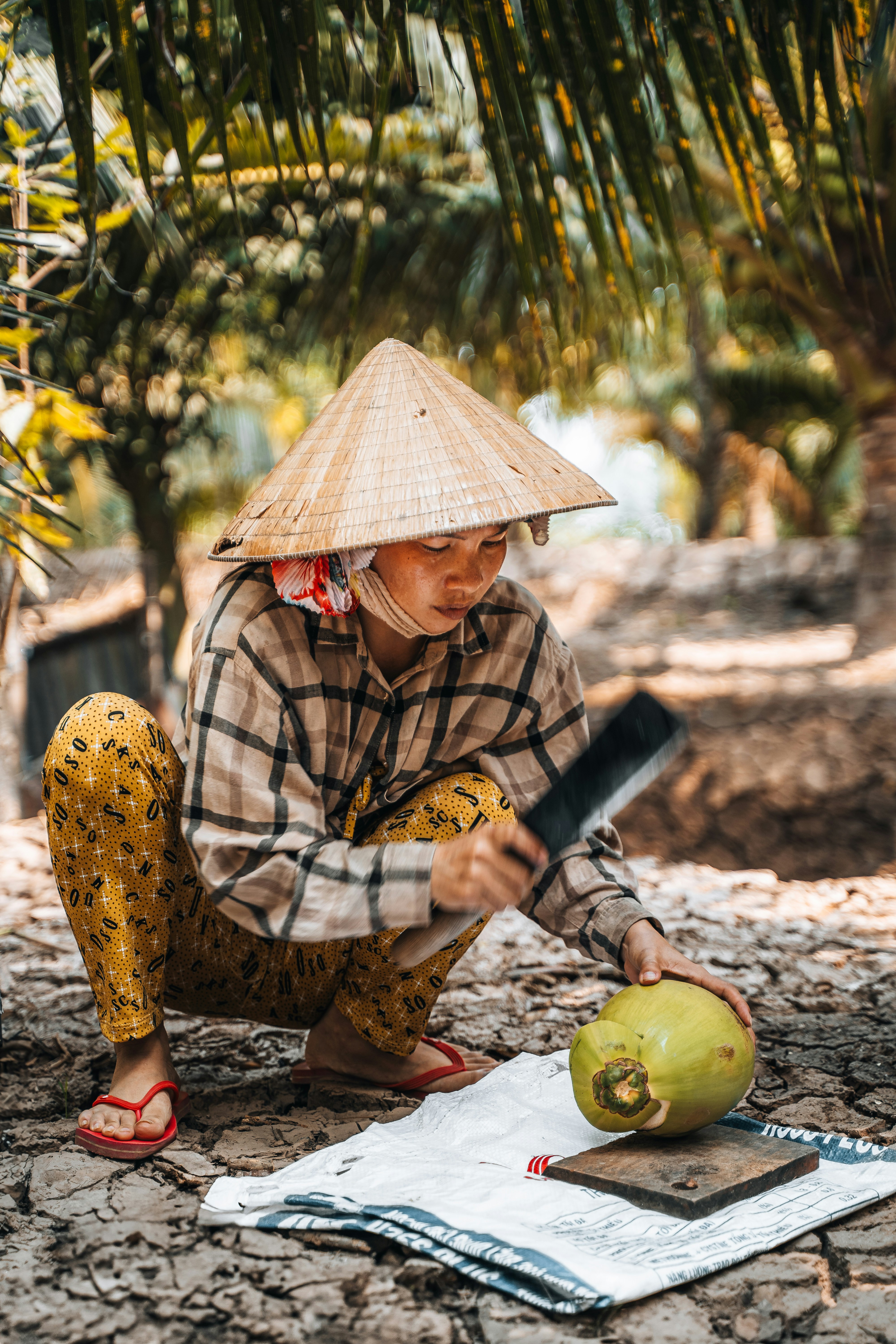 Coconut Carve Under Palm Shade: A Quiet Moment of Handwork