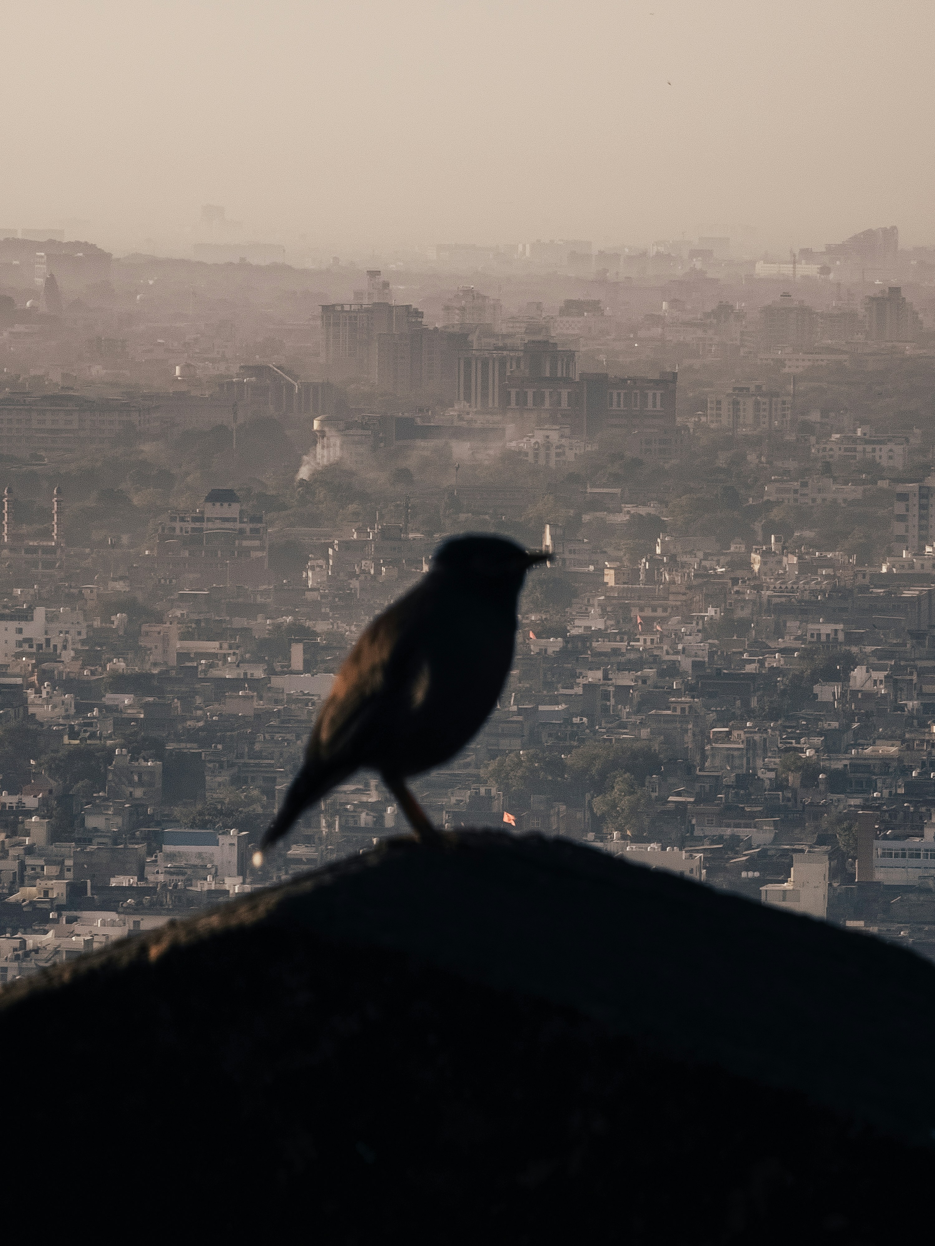 Photo by AJITH S with Samsung Galaxy S23 Ultra