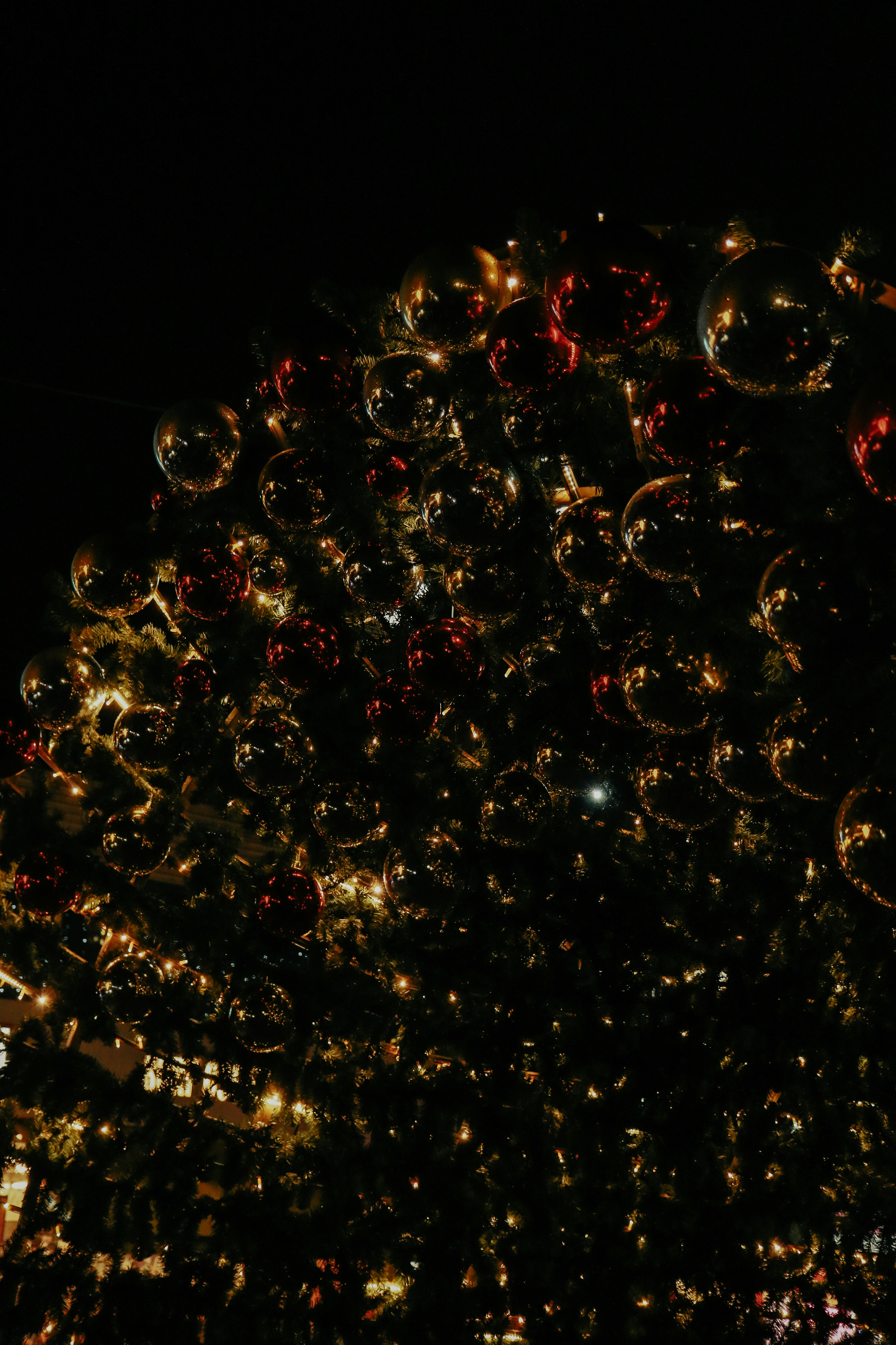 A very large tree with lots of lights on it photo – Free Sochi Image on ...