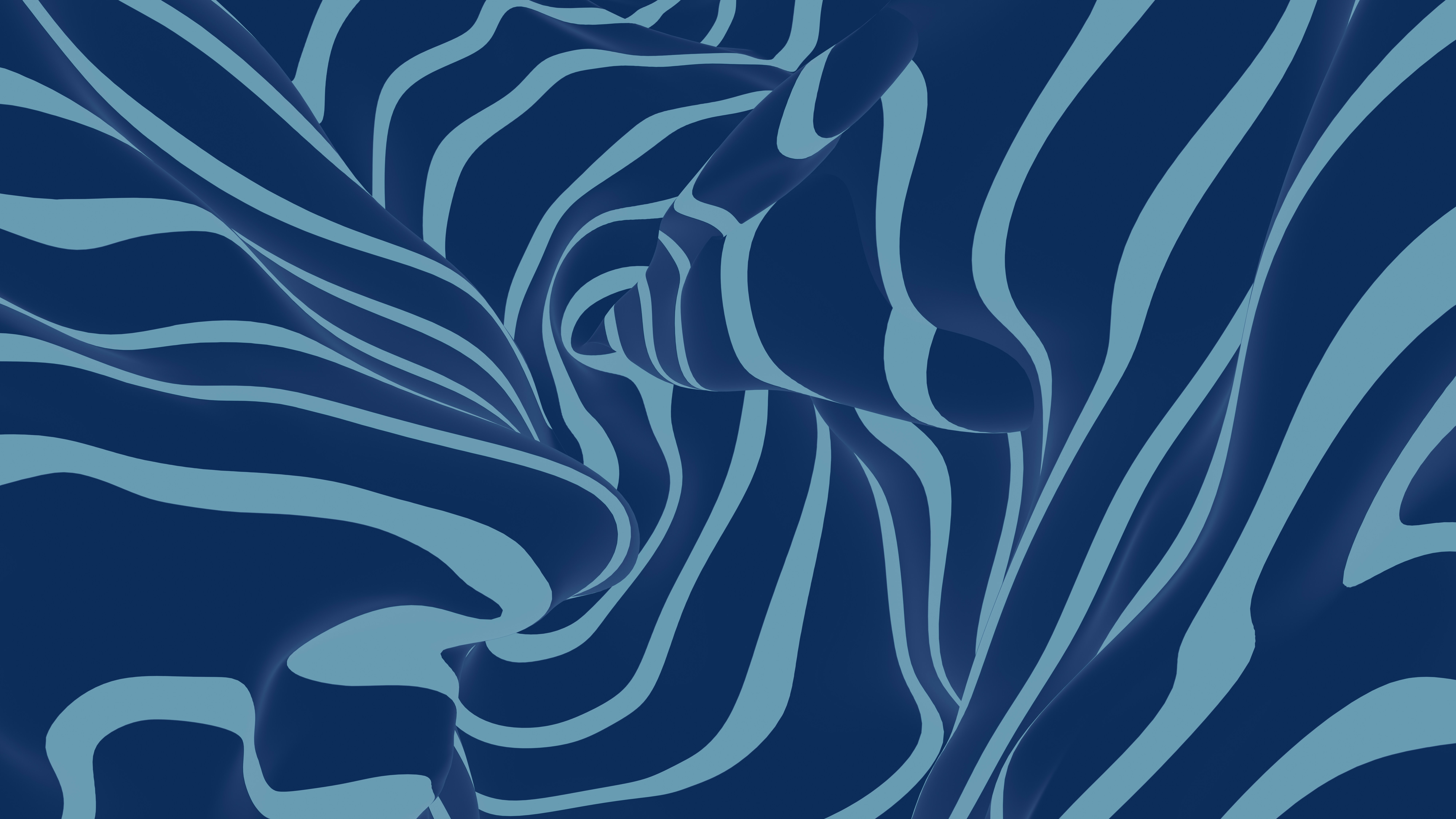 Un fondo azul con un patrón de cebra foto – Imagen de Fondo gratuita en ...