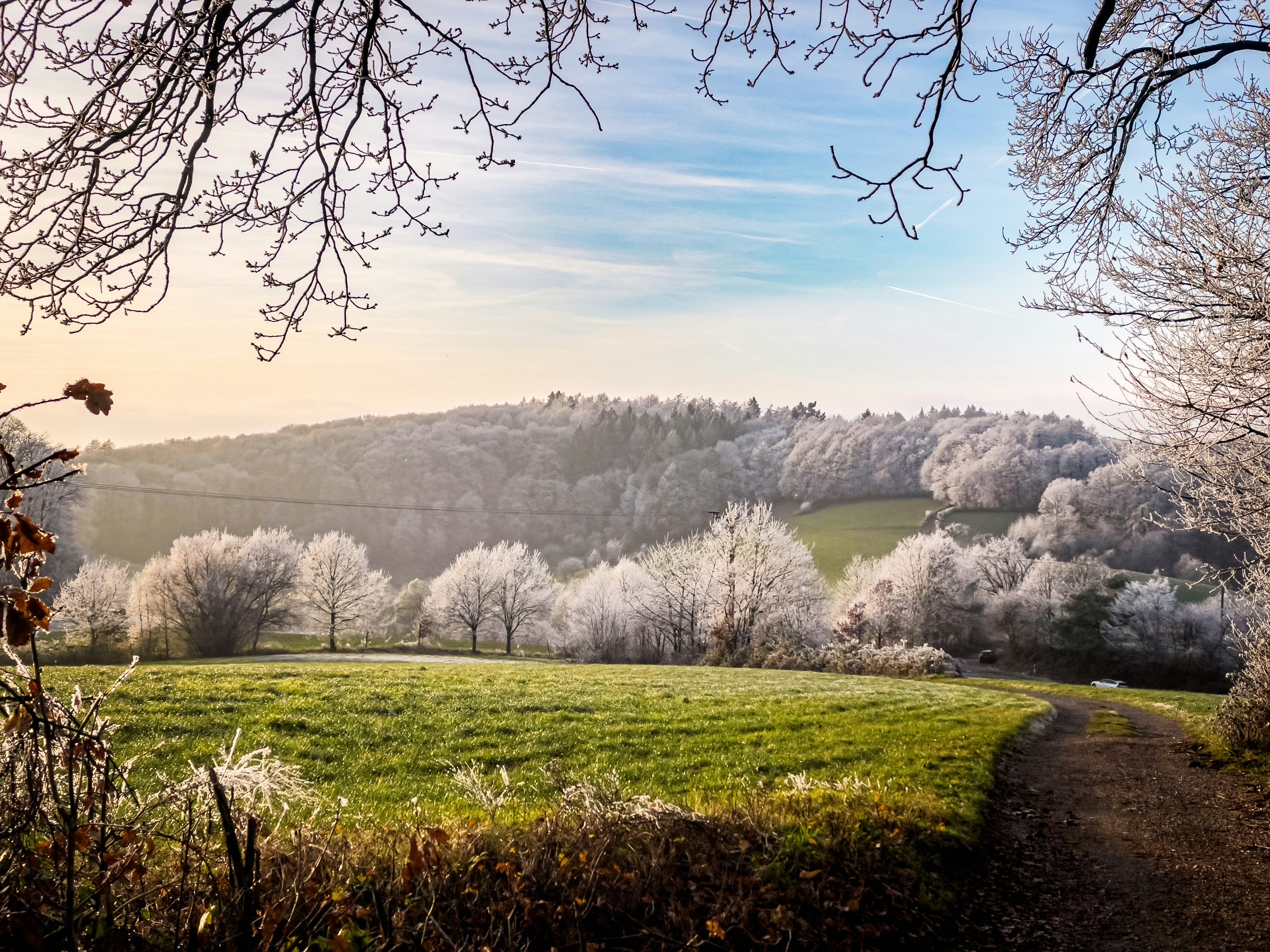 Frost-kissed Orchard Evening over a Sloping Field