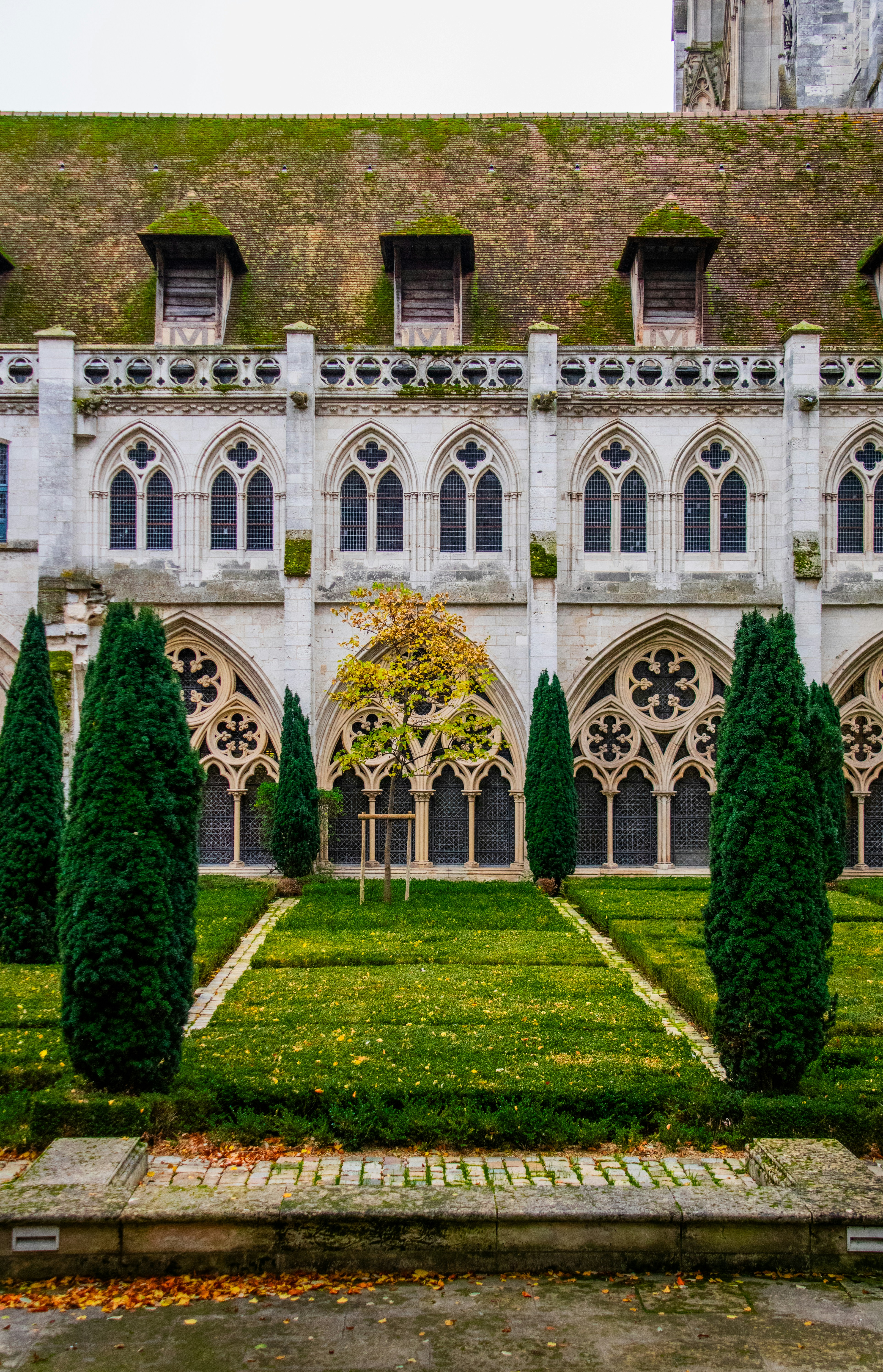 Autumn Centerpiece in a Gothic Cloister: Central Tree Framed by Symmetrical Yew Hedges