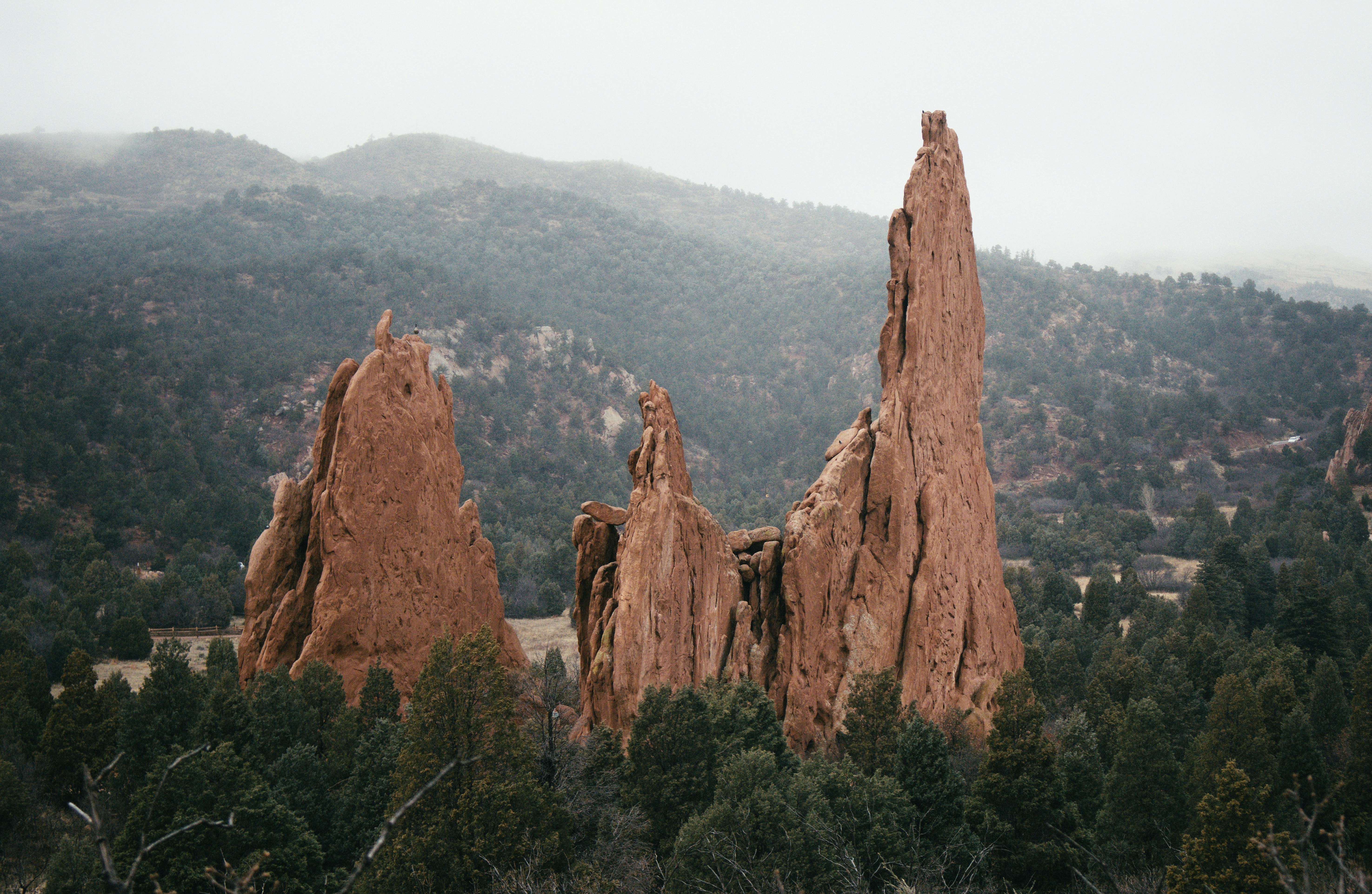 A large rock formation in the middle of a forest photo – Free Red rocks ...