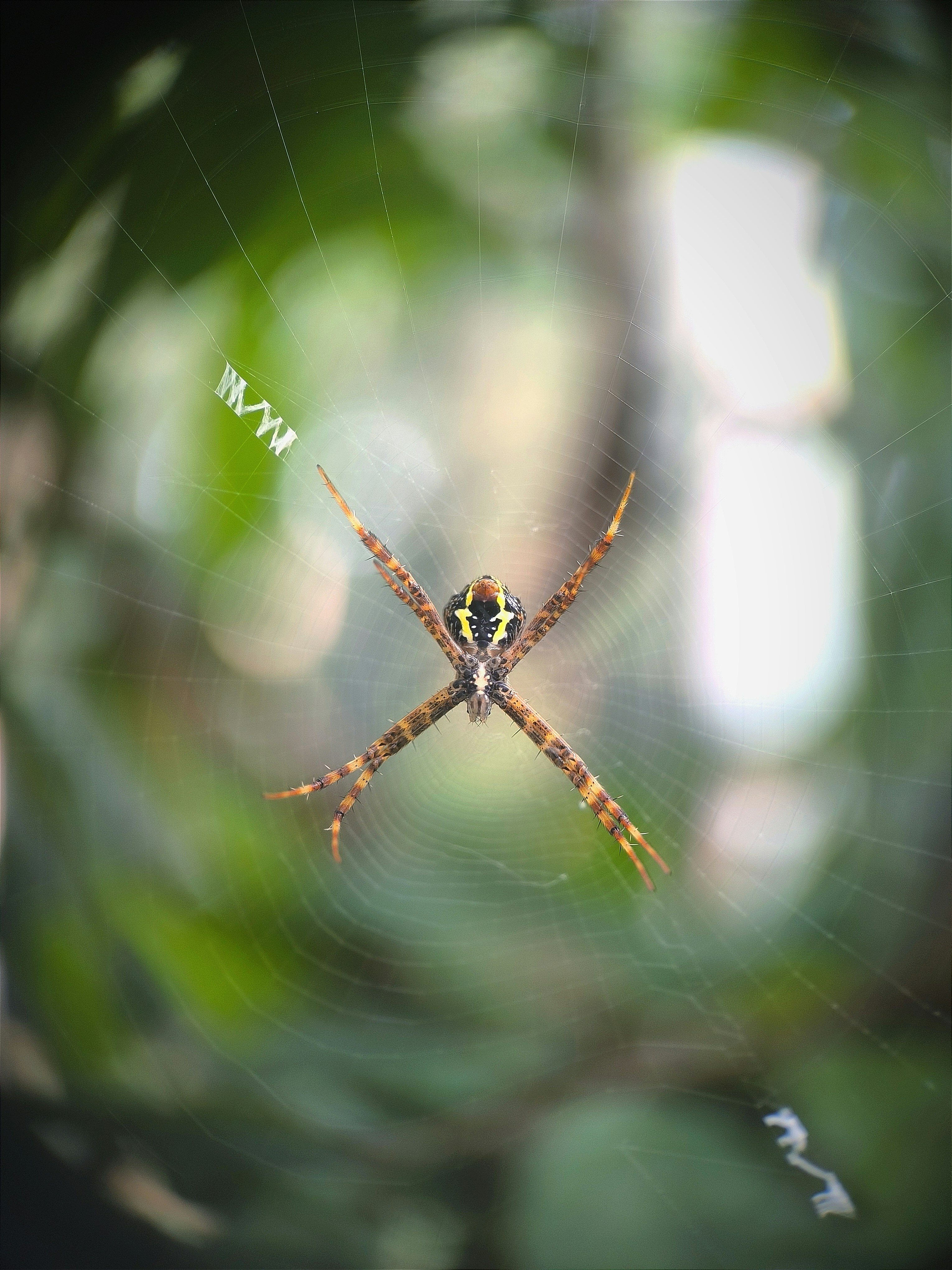 Photo by Shahriar S. with Xiaomi Redmi Note 13 Pro Plus