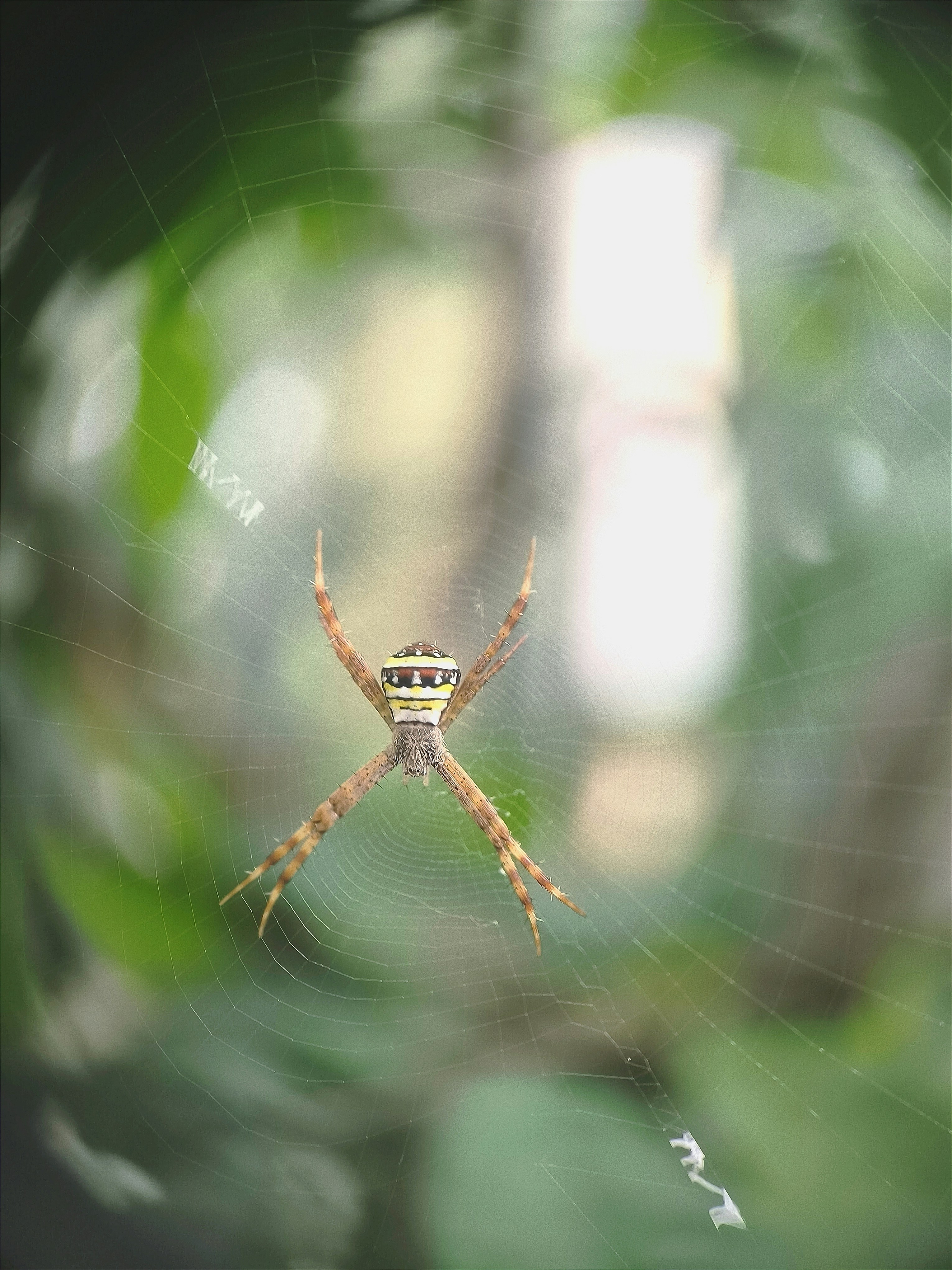 Photo by Shahriar S. with Xiaomi Redmi Note 13 Pro Plus