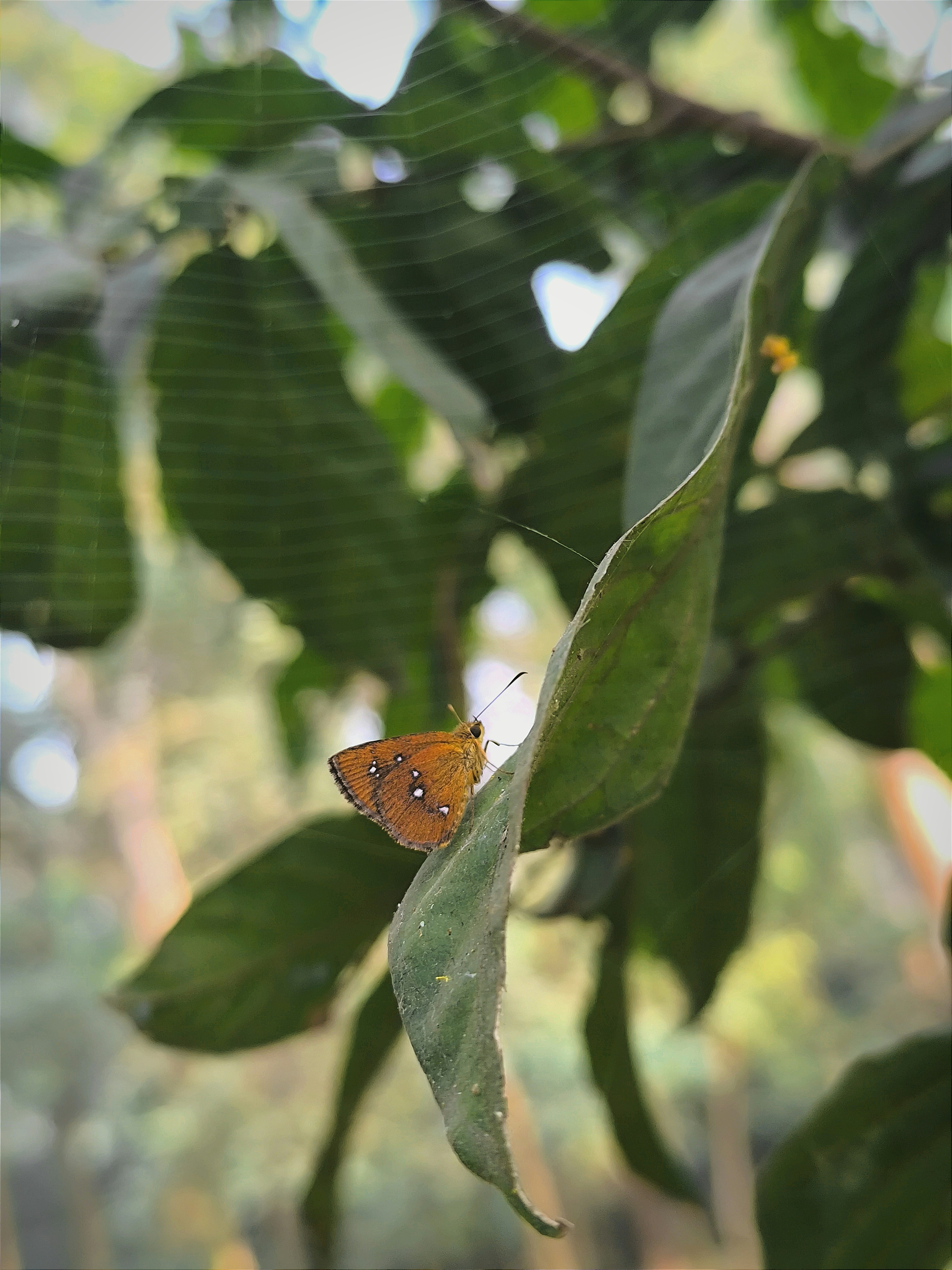 Photo by Shahriar S. with Xiaomi Redmi Note 13 Pro Plus