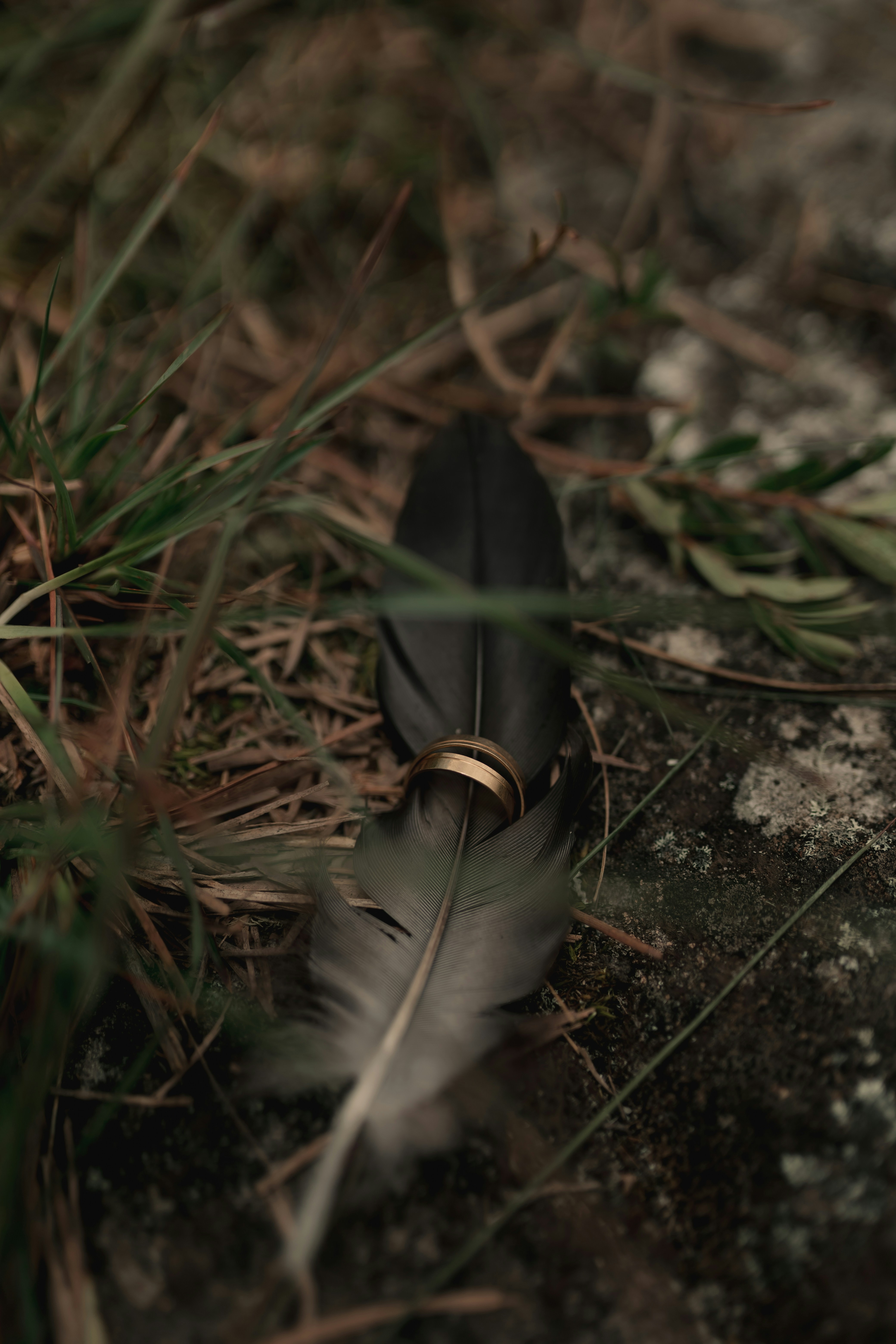Copper Ring Resting on a Feather Among Moss and Pine Needles