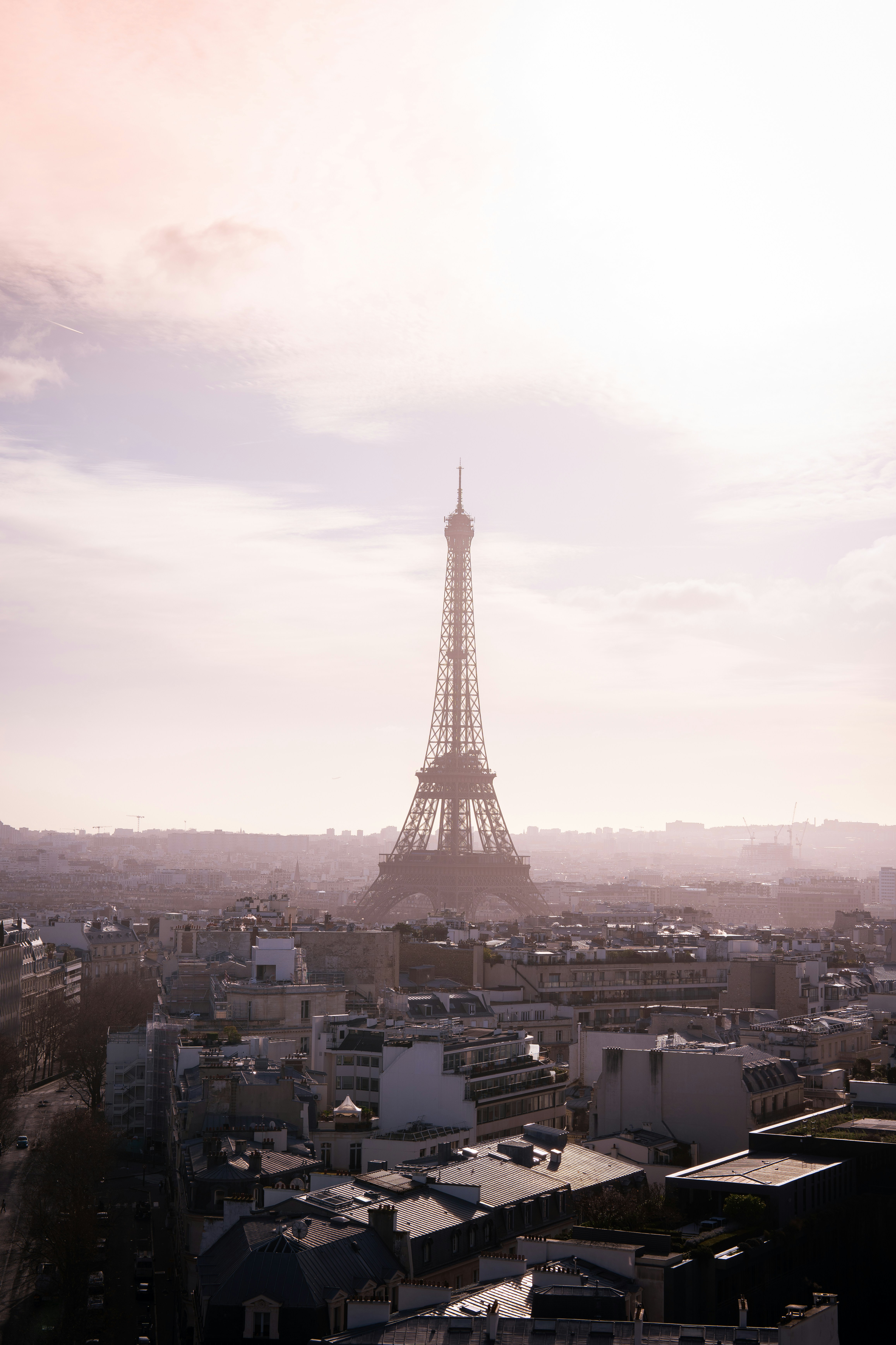 Photo by Miguel Joya with Sony Alpha 7 IV