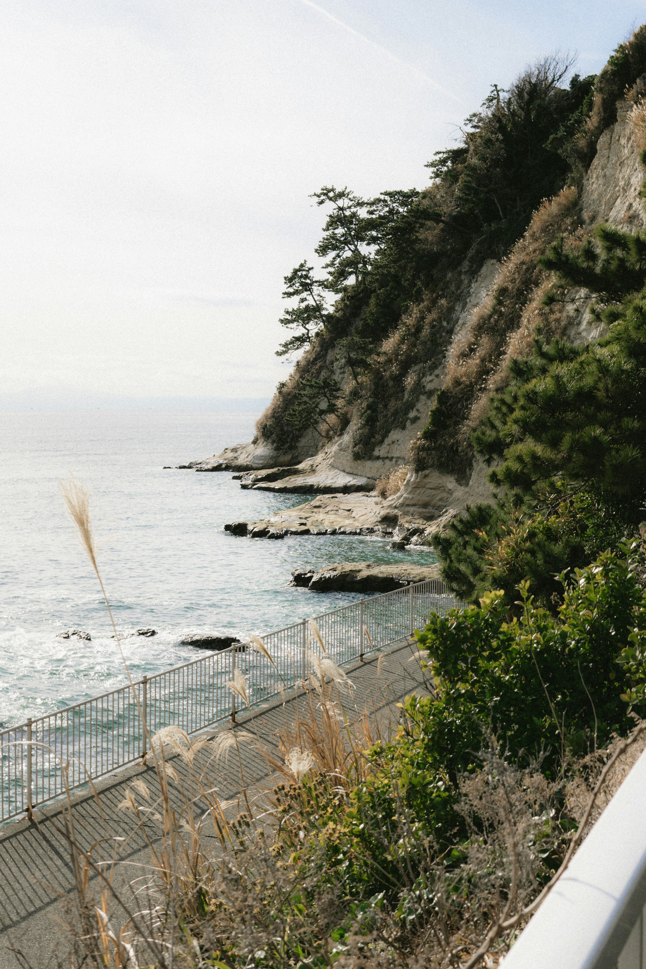 Rocky shoreline with steep cliffs and sparse vegetation meeting the calm sea under a clear sky.
