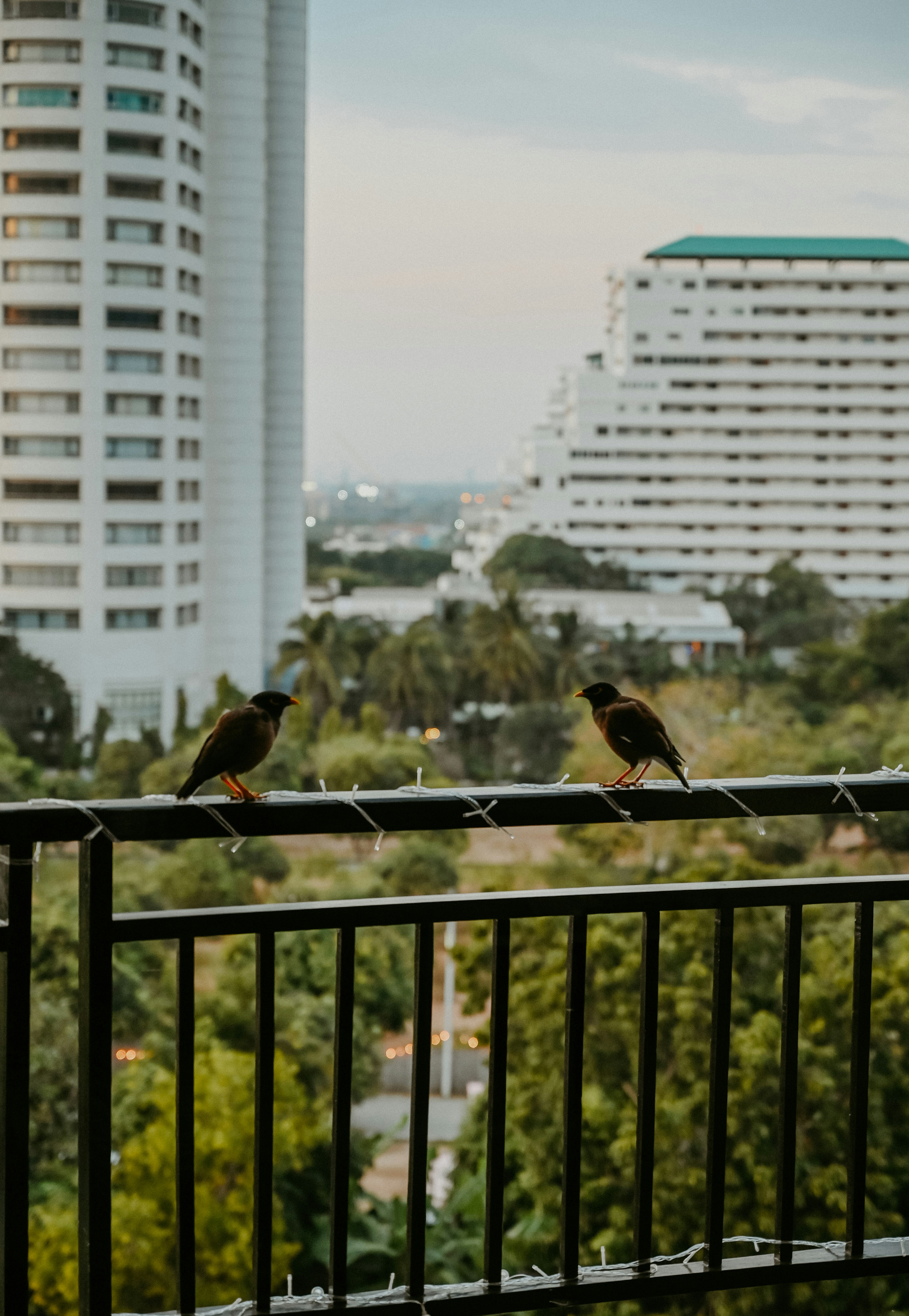 Photo by Natali Zorina with Nikon Z6