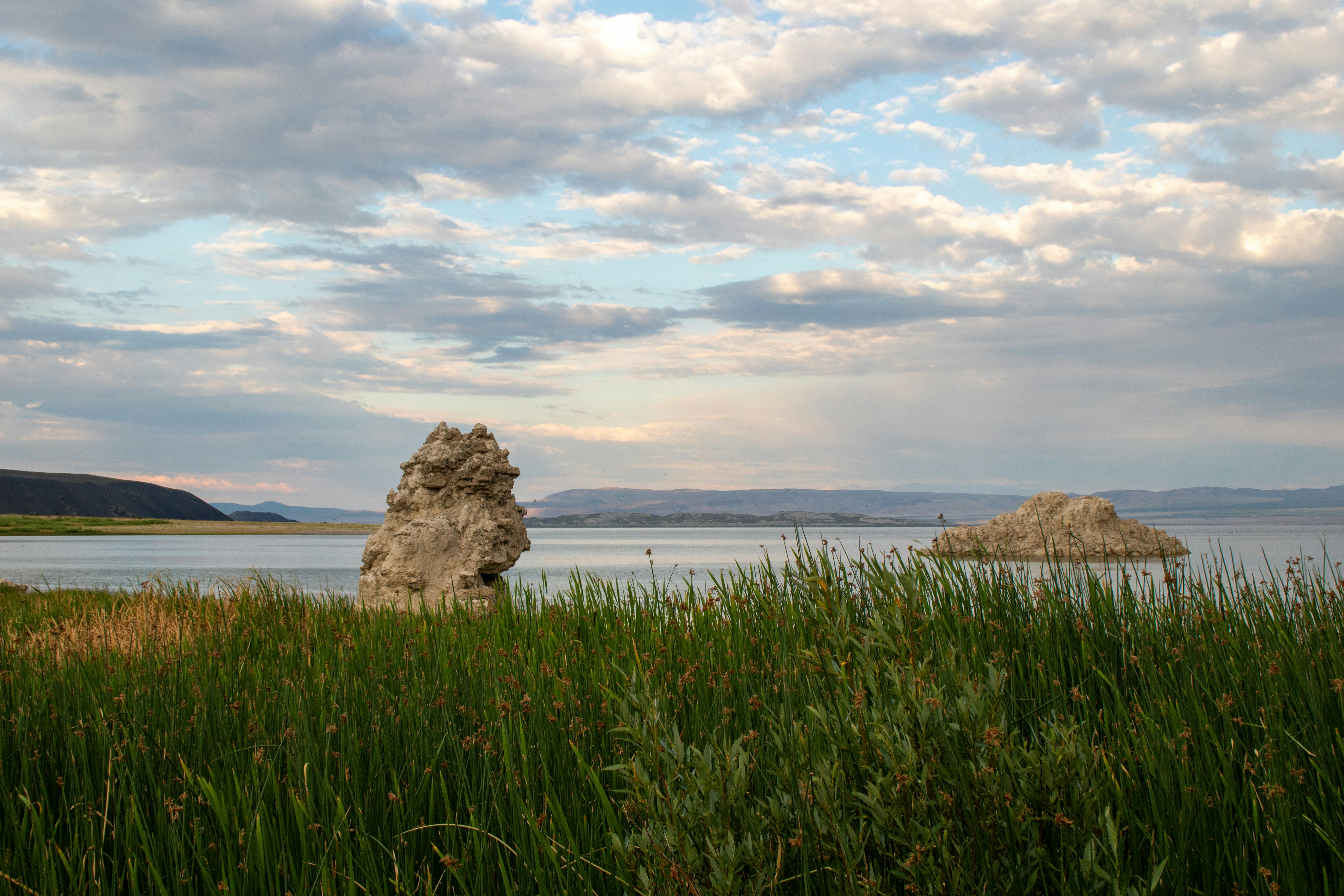 Stone Sentries Guard a Marshy Coastal Scene
